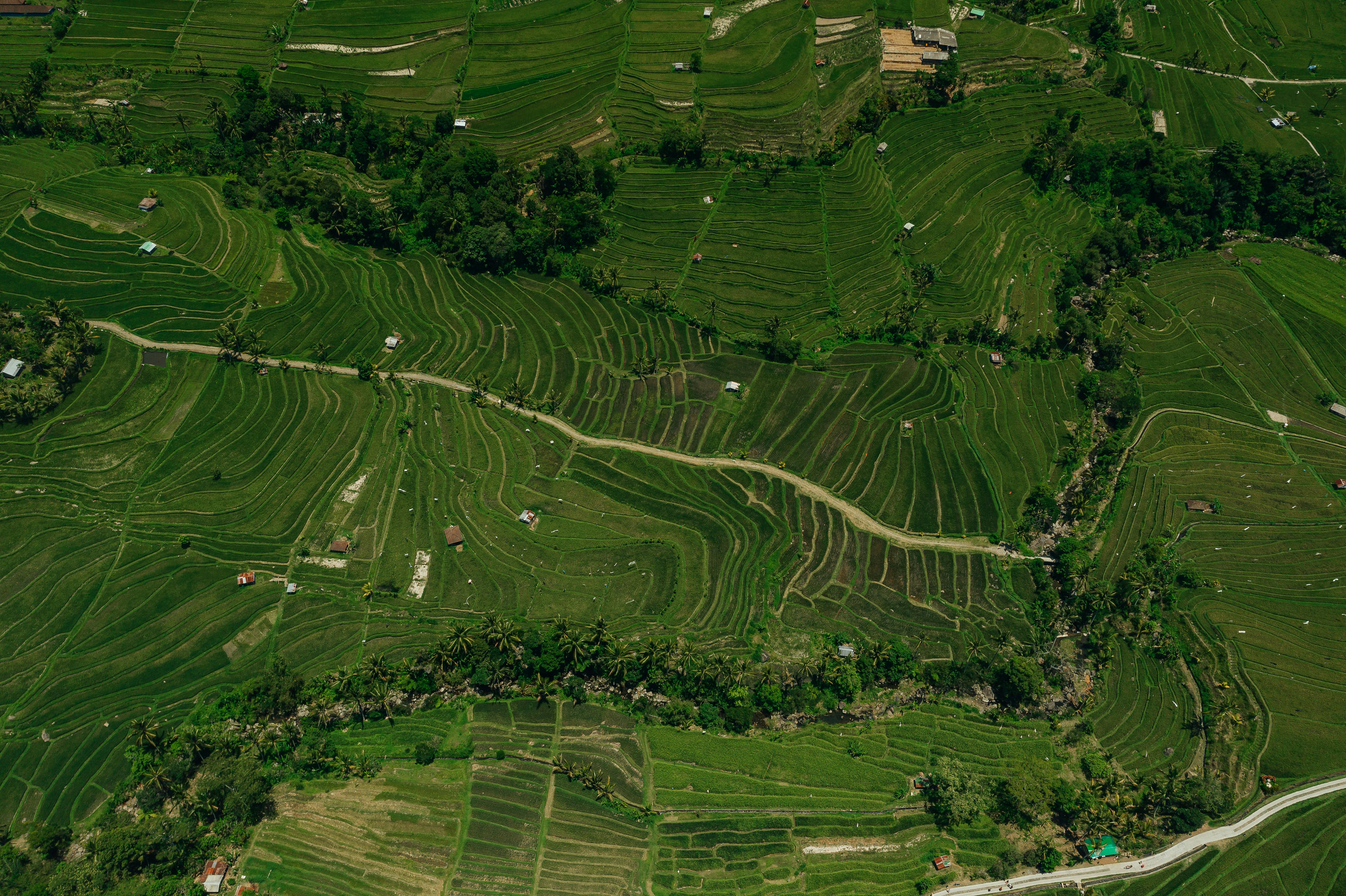 Aerial Photography of Plantation · Free Stock Photo