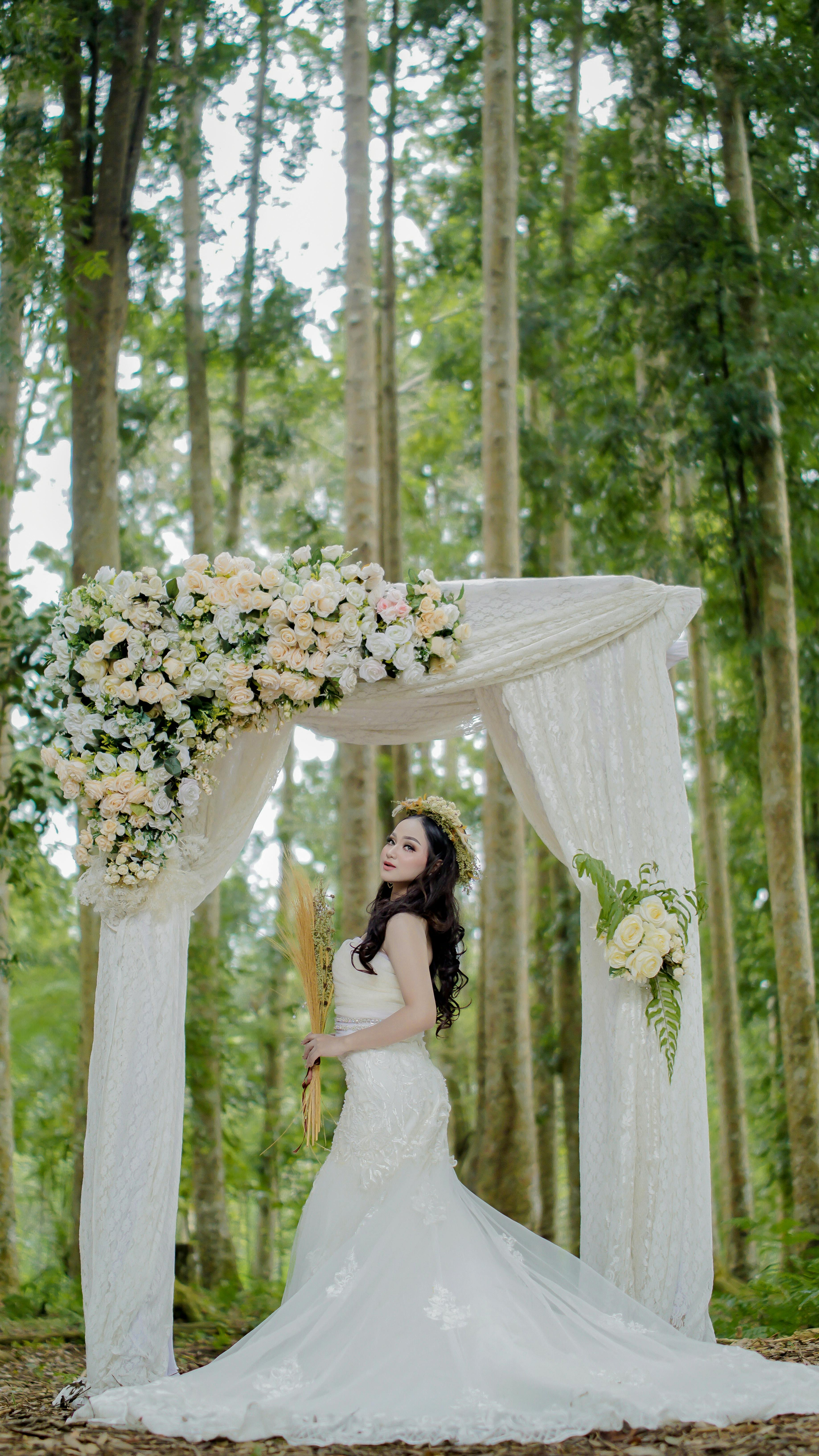 Forest Arch Photos, Download The BEST Free Forest Arch Stock Photos ...