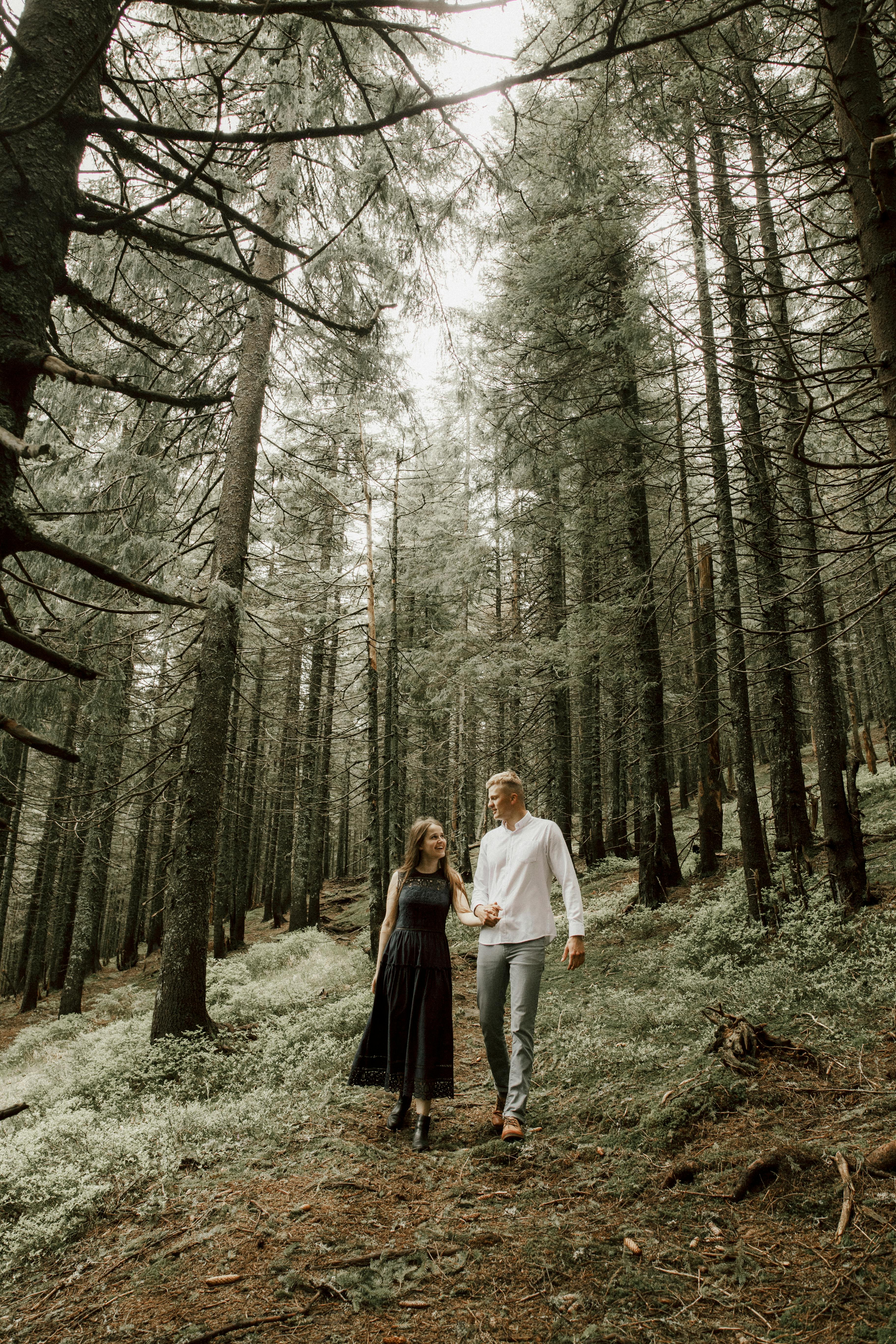 A Couple Walking on the Forest · Free Stock Photo