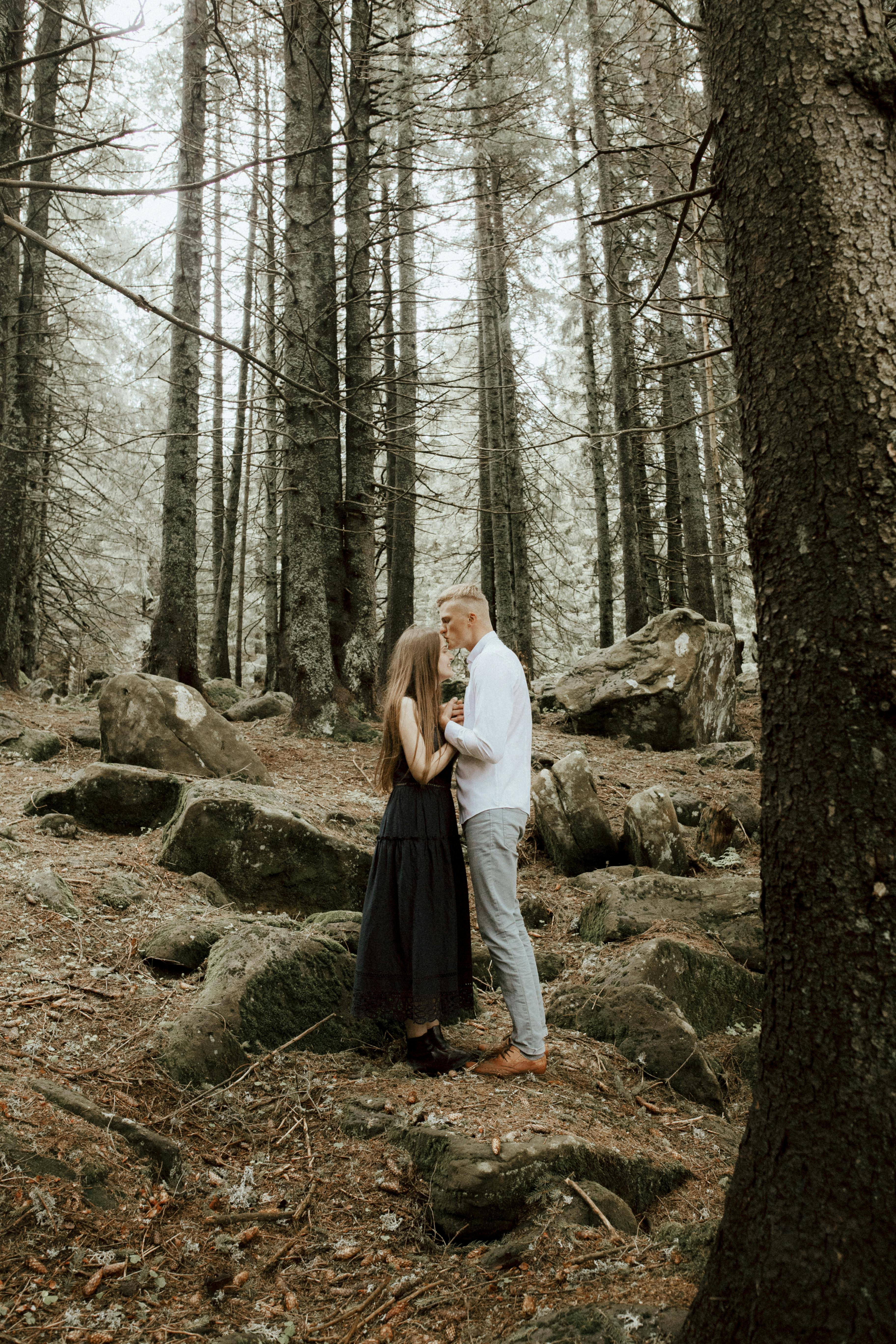 100,000+ Best Pine Trees Photos · 100% Free Download · Pexels Stock Photos