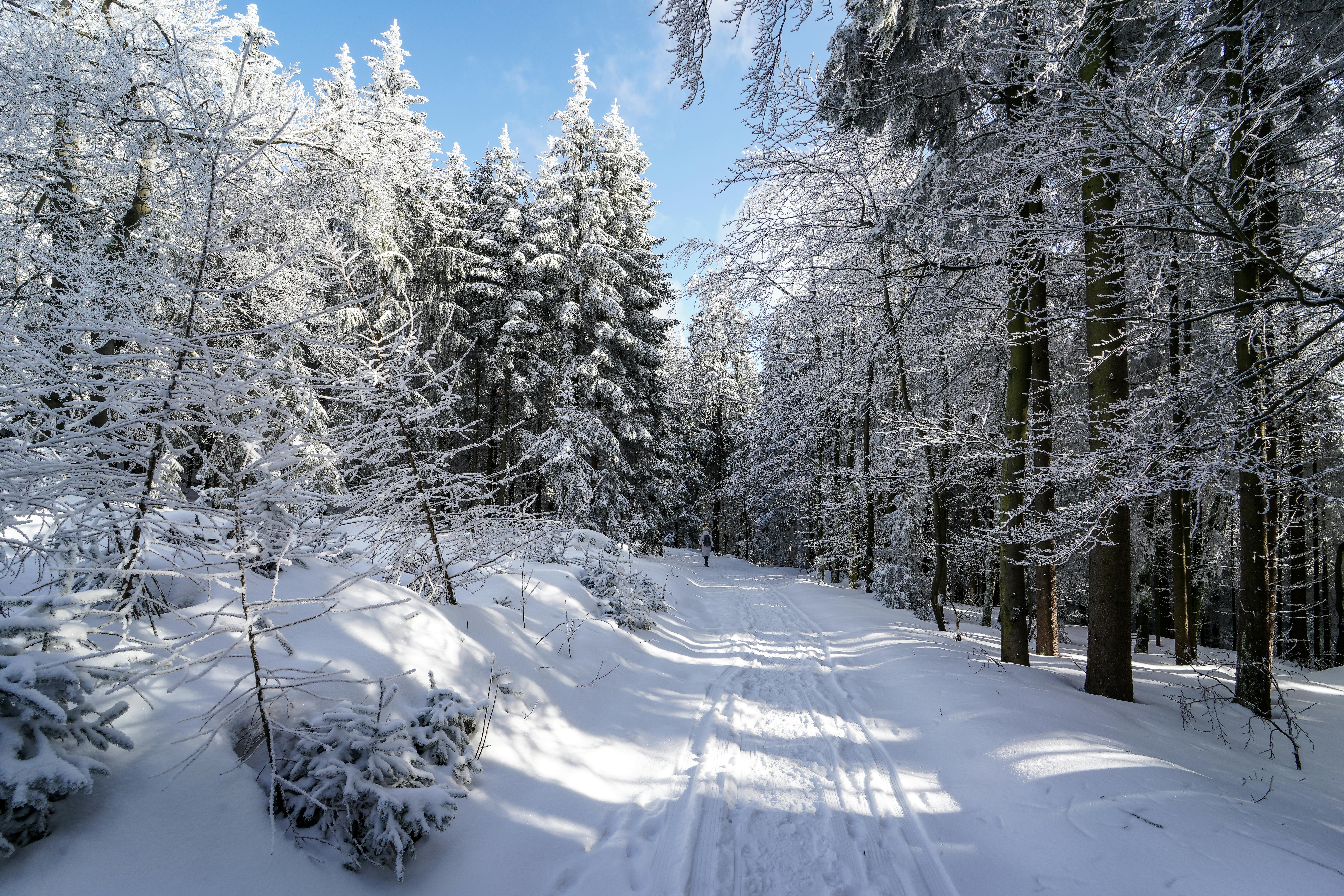 Herbstwanderung In Walder Photos, Download The BEST Free ...