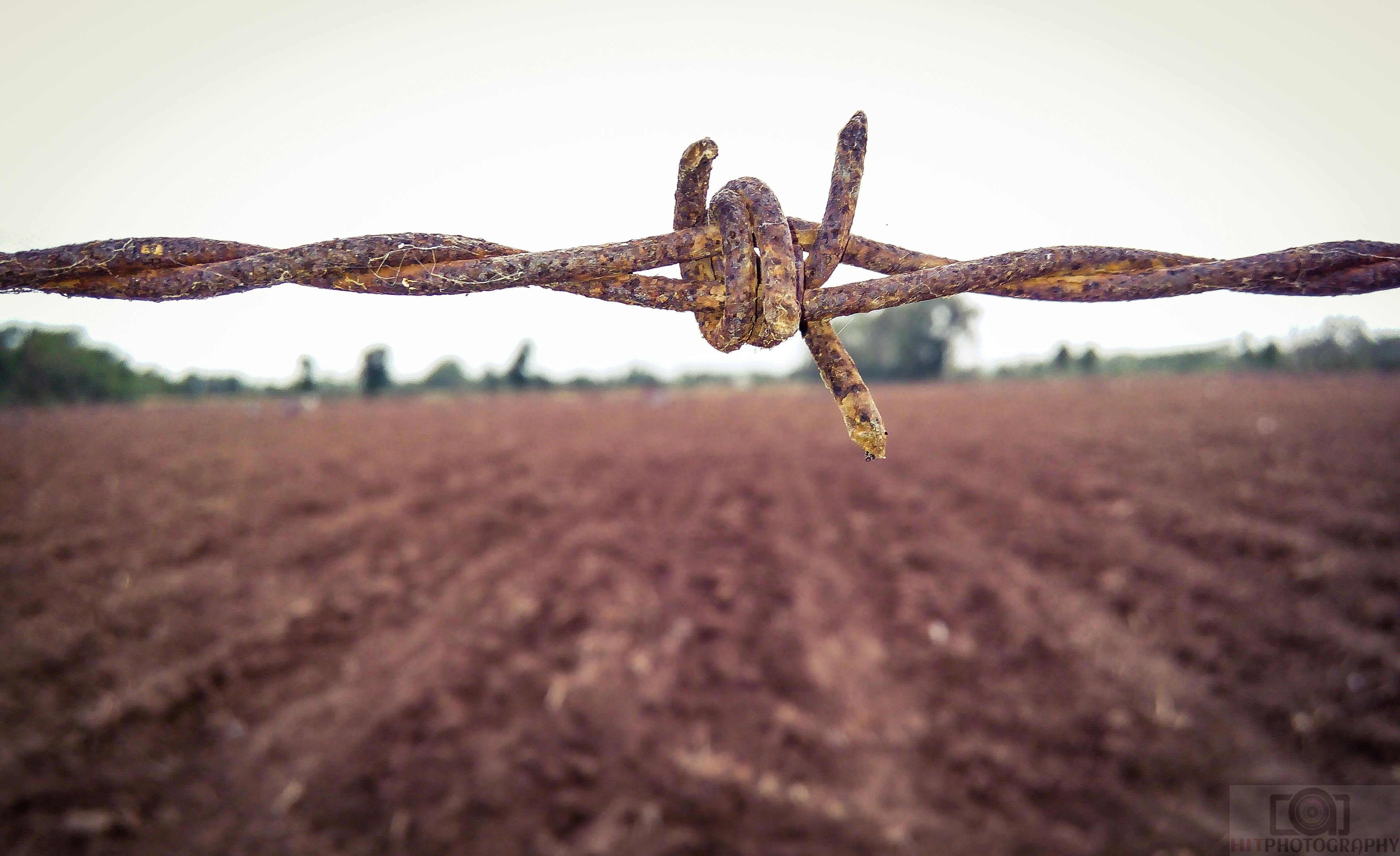 Free stock photo of blur, blurred background, farm