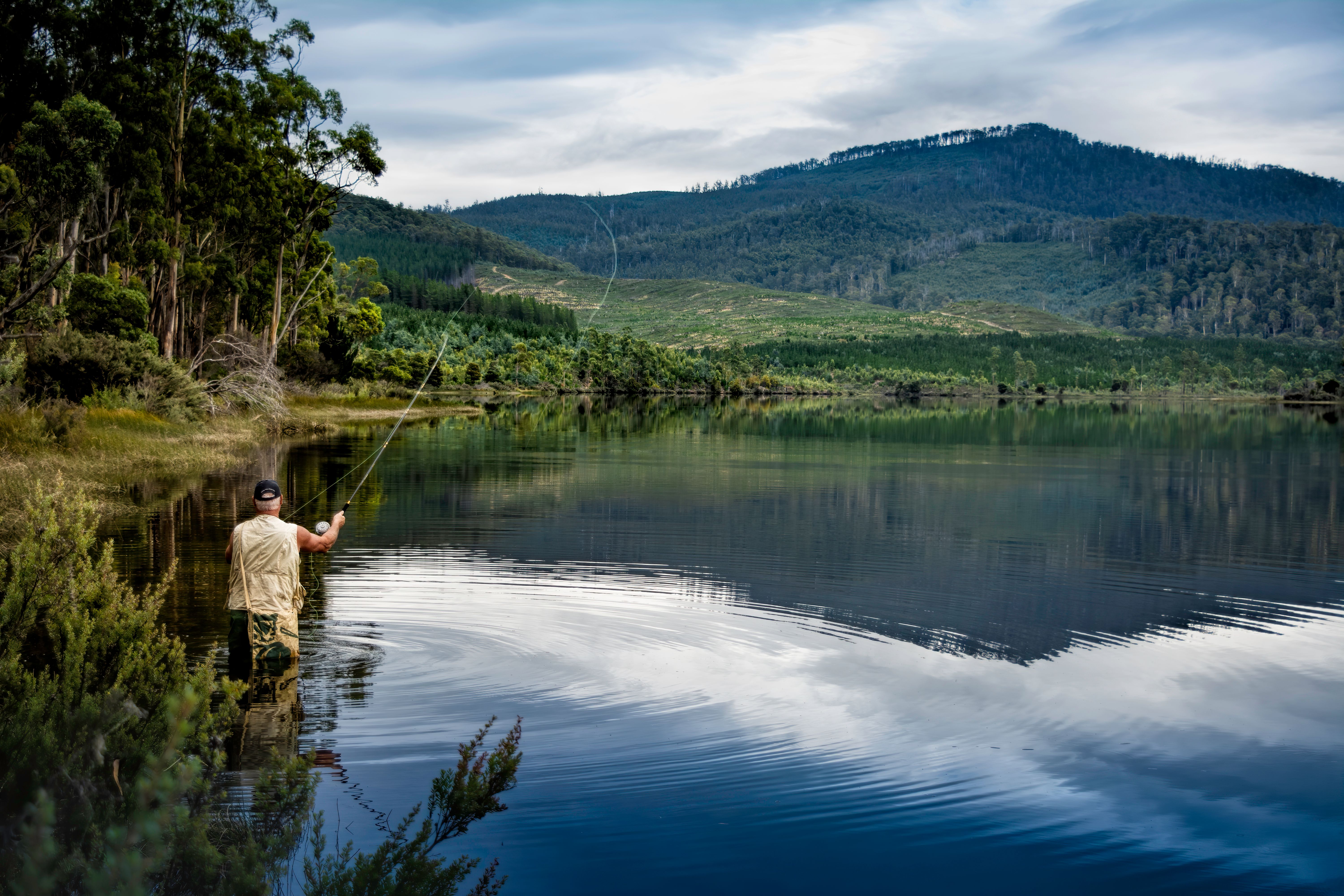 A Man Fishing on the Lake · Free Stock Photo