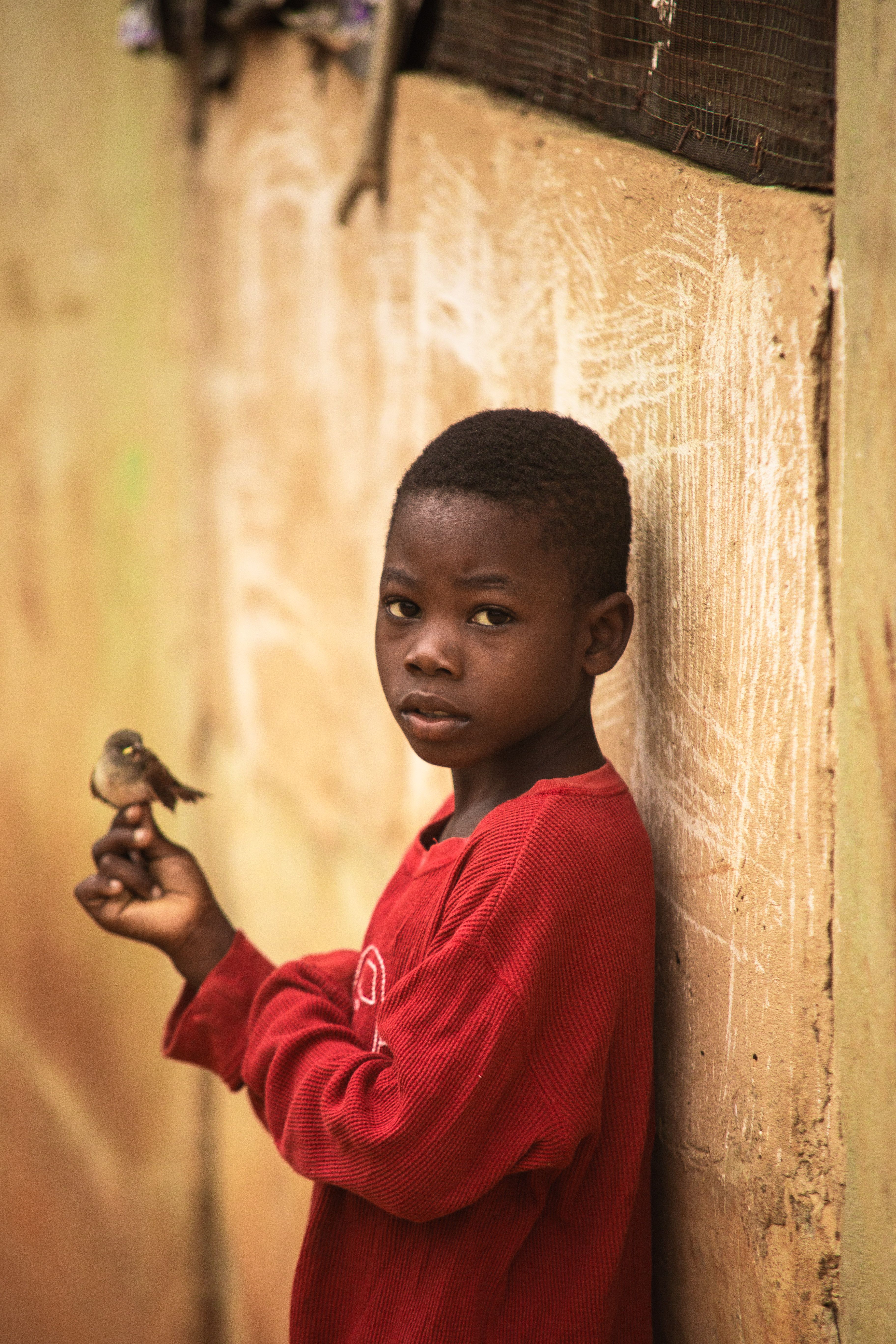 African Boy With Background City Of Kano State Explaining The Bad ...