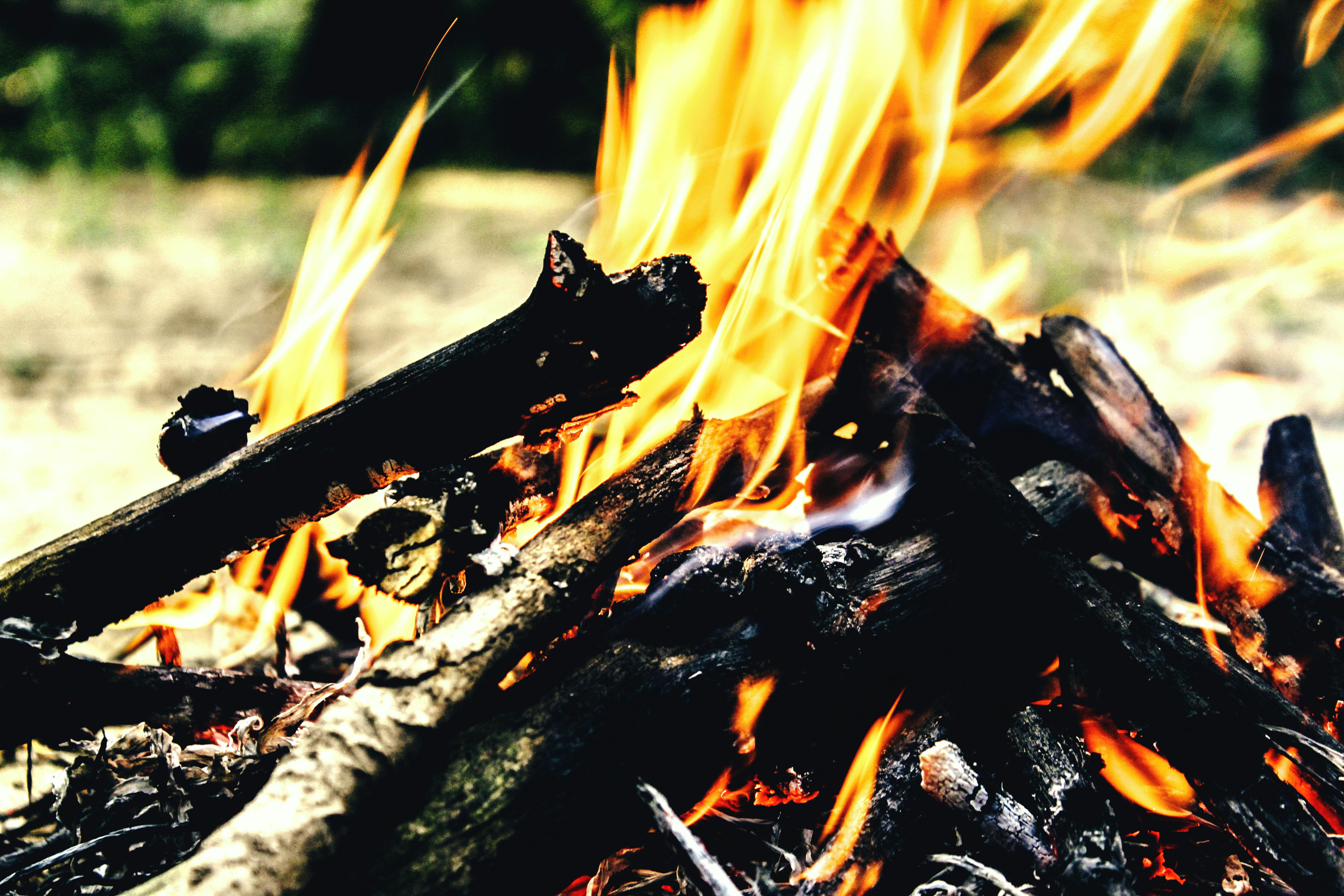 Free stock photo of amper, bonfire, burn