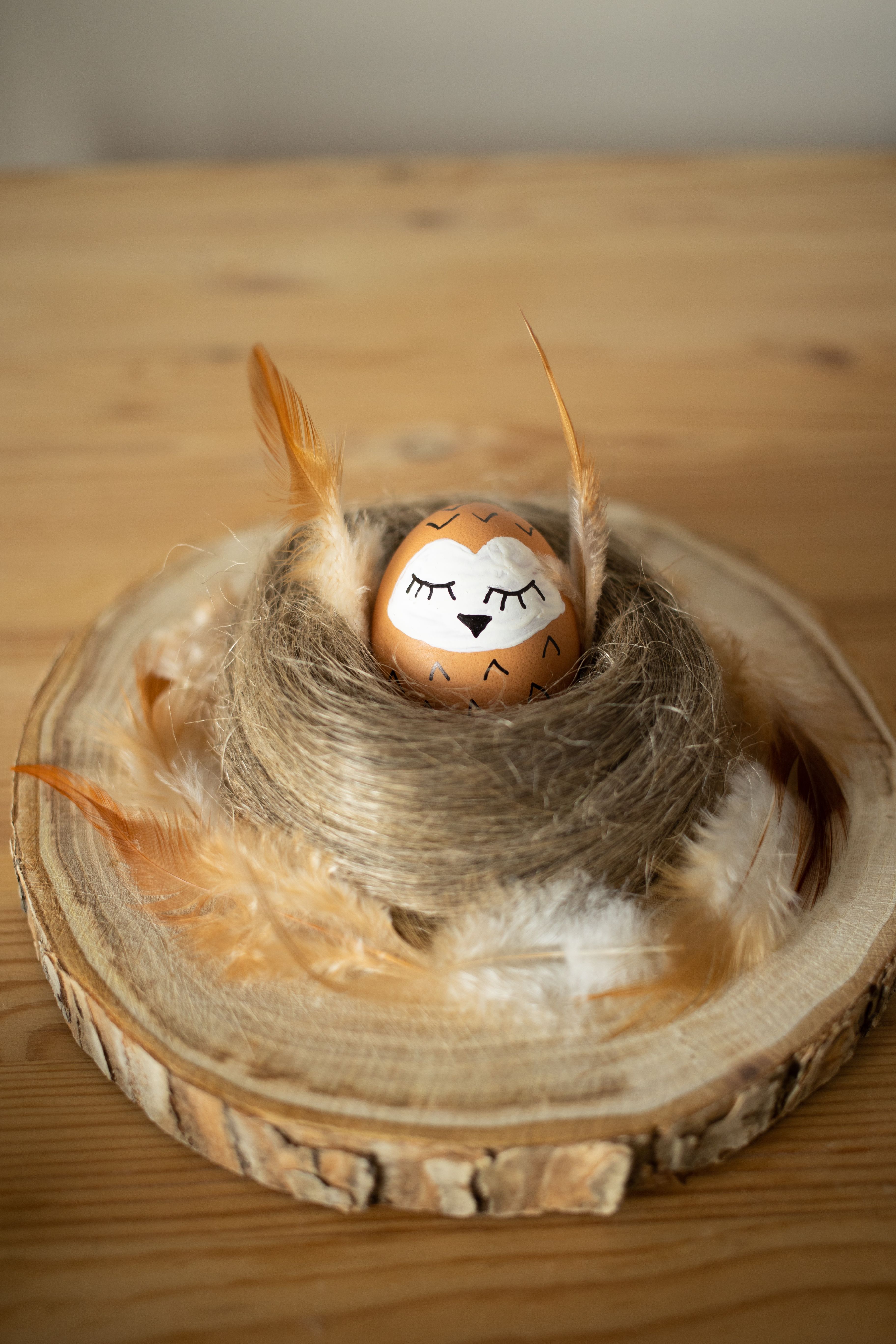 Photo of an Easter Egg on a Nest · Free Stock Photo