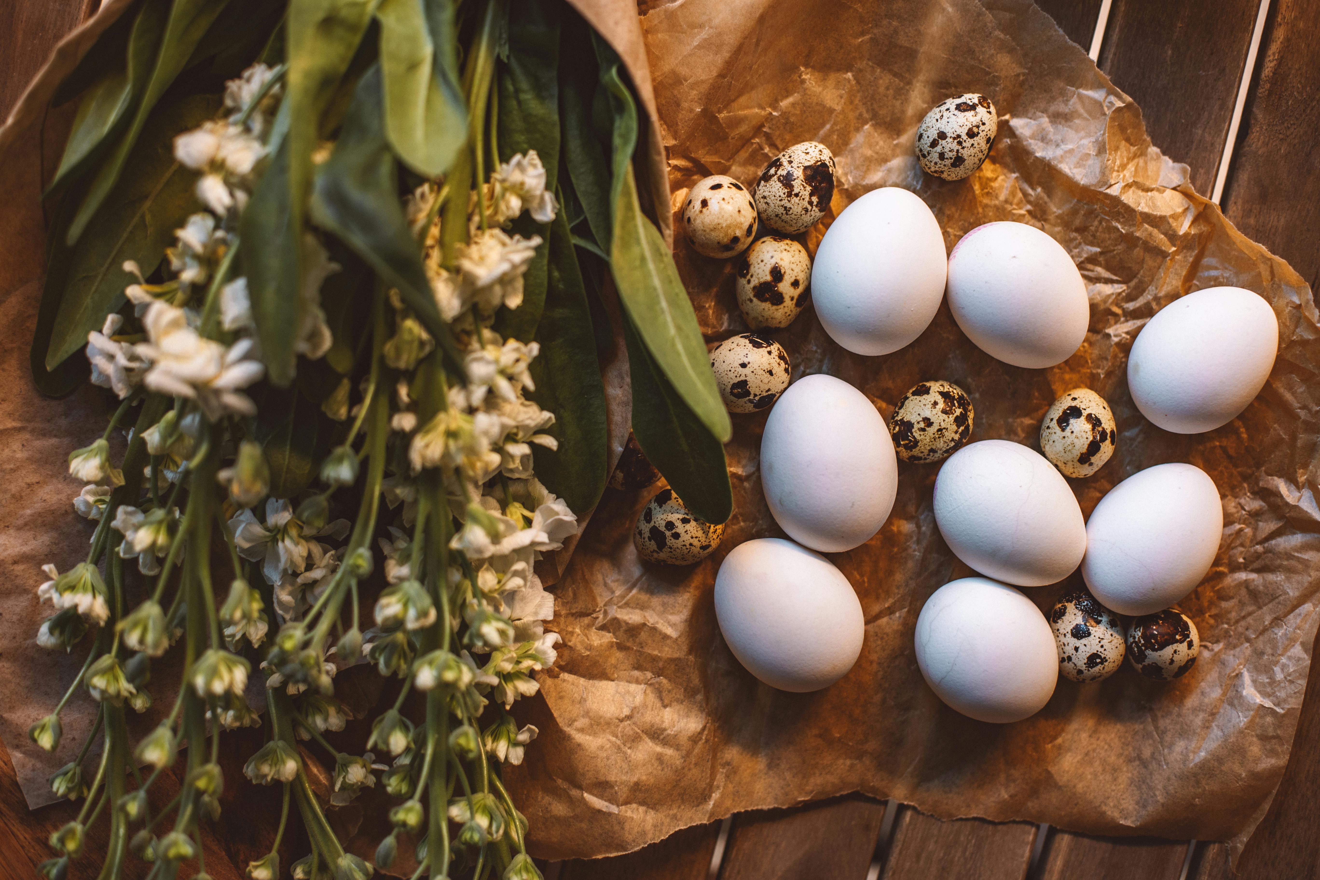 Assorted Eggs in Close Photography · Free Stock Photo
