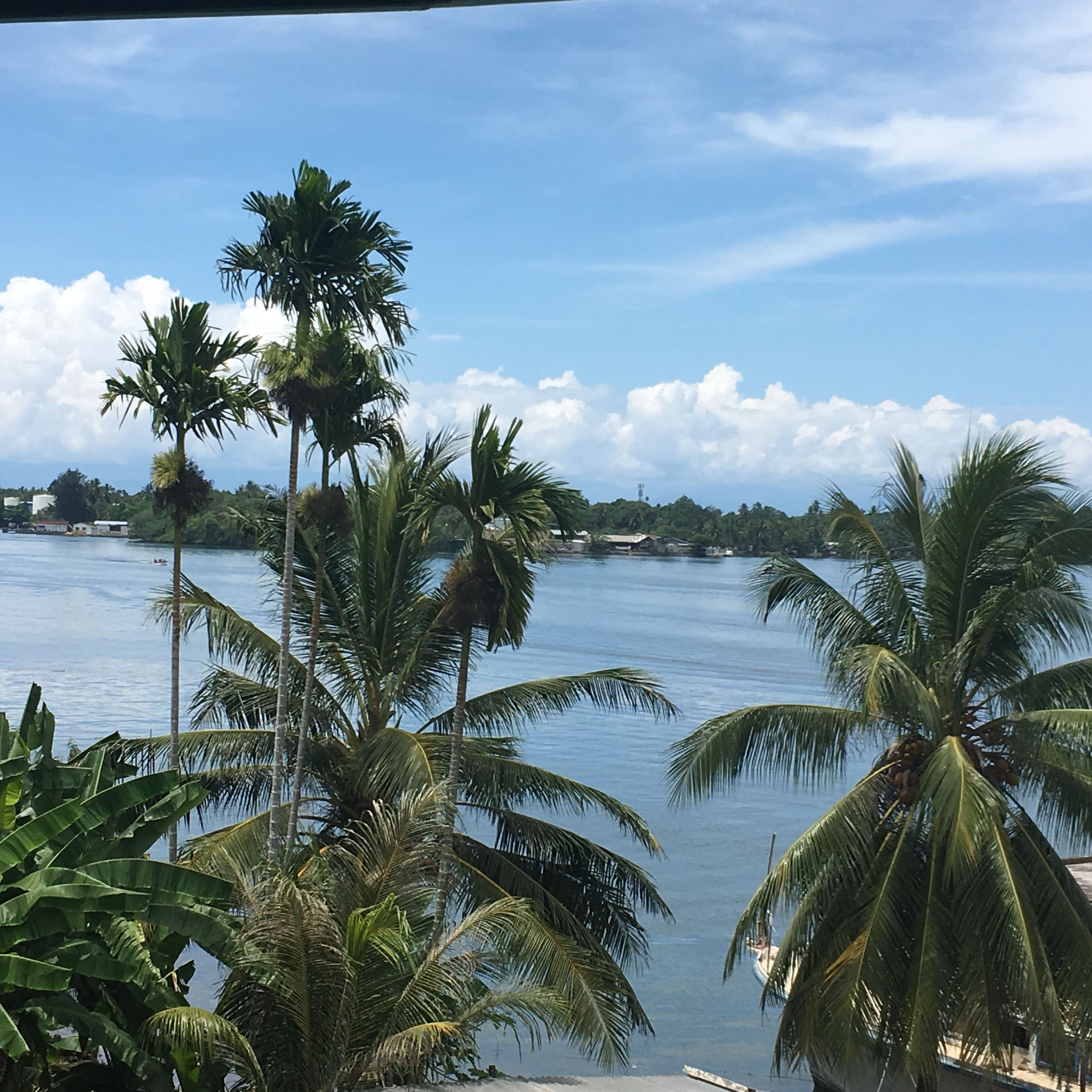 Free stock photo of beach, Madang, Prency