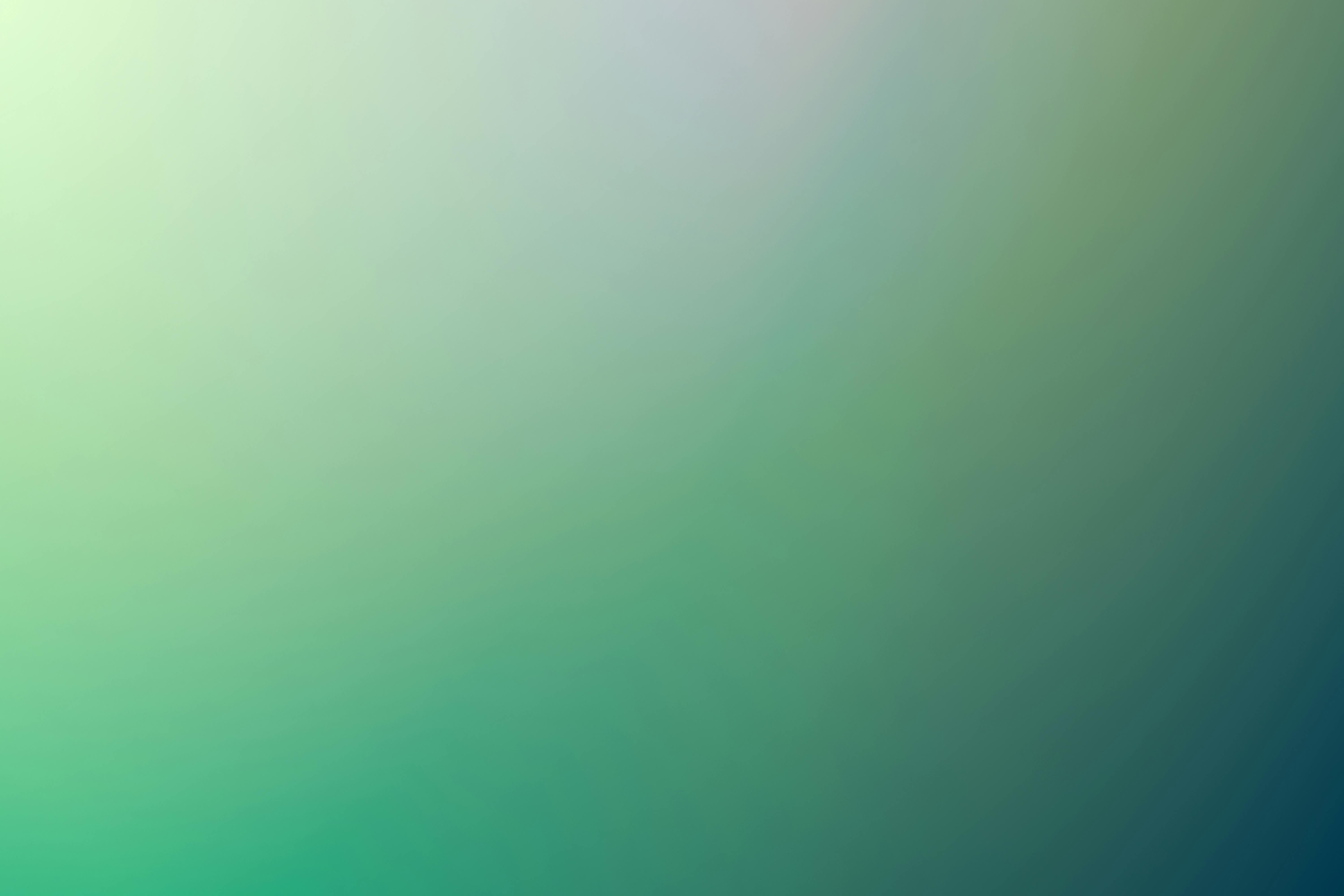 Different Shades Of Green Color · Free Stock Photo