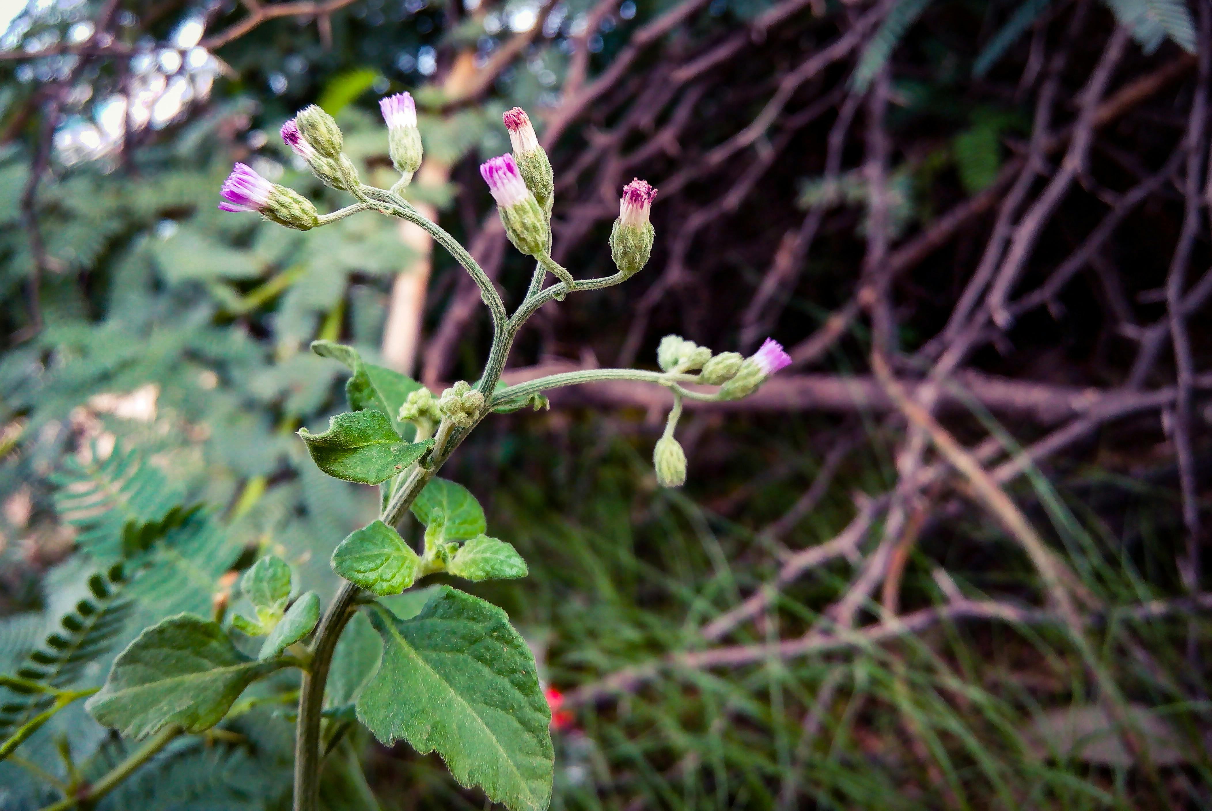 Hit Rangani - Photography