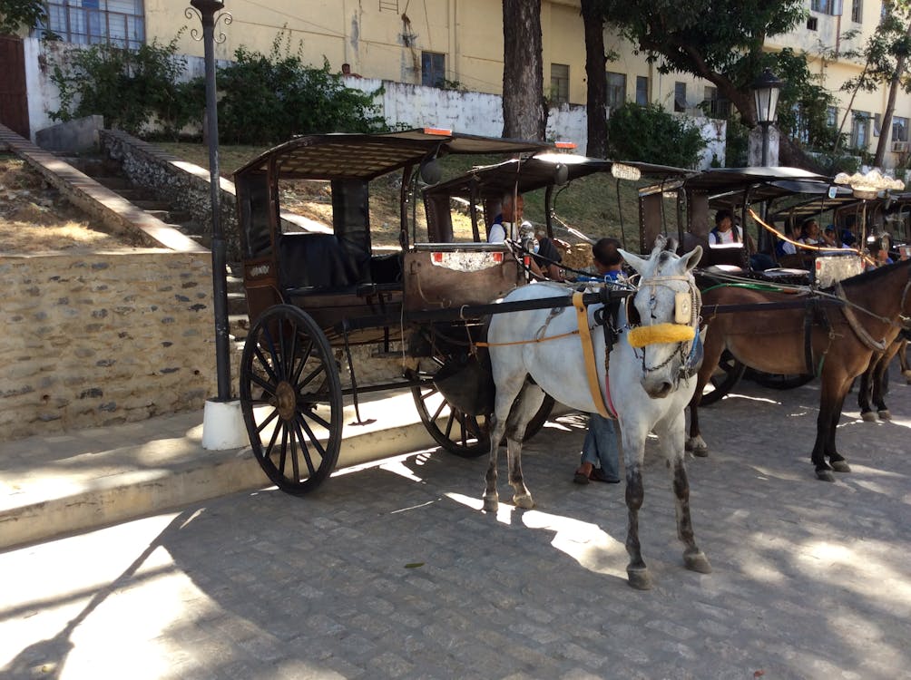 Free stock photo of Kalesa, Philippines, Vigan Free stock photo of Kalesa, Philippines, Vigan