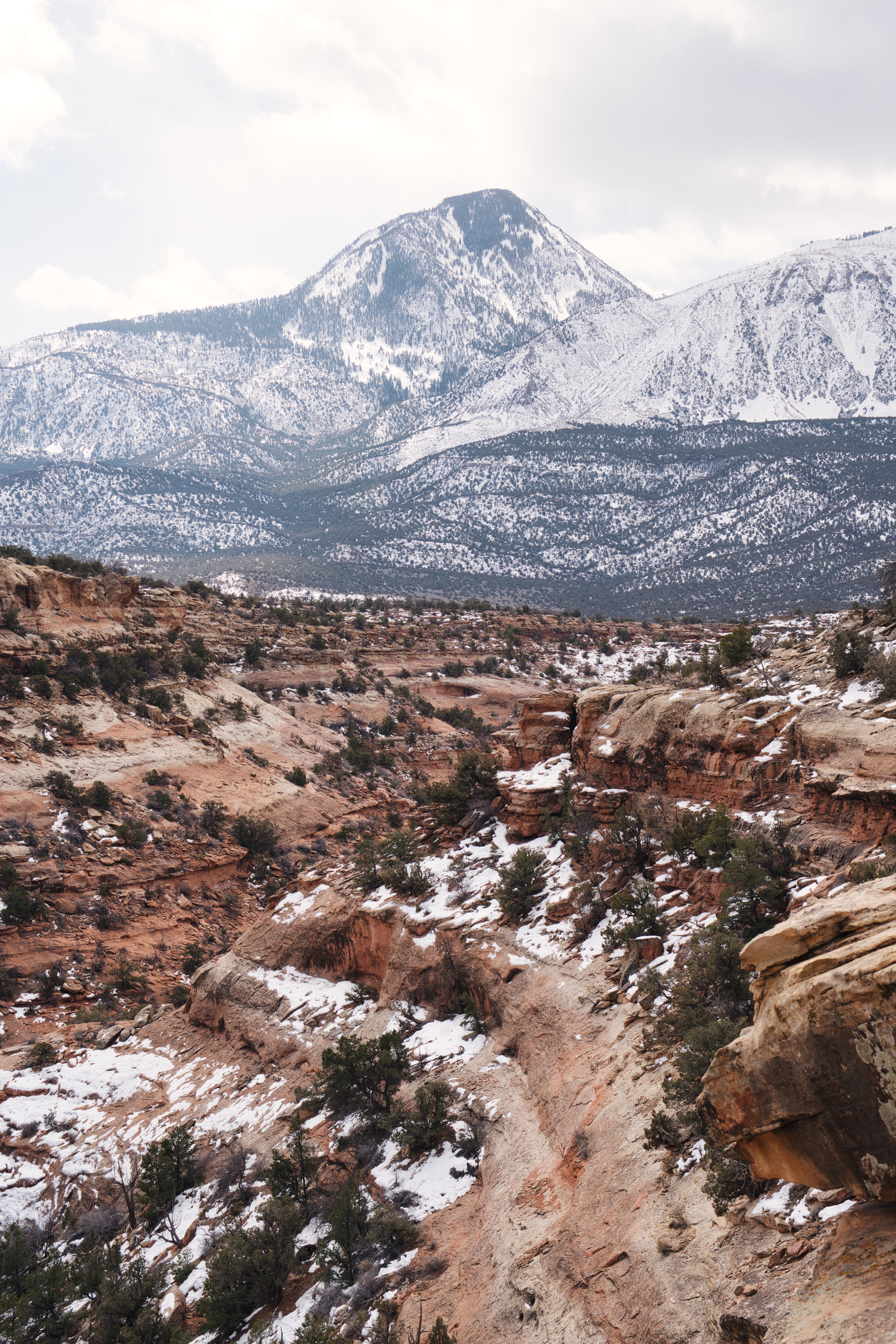 Level Of Terrain Photos, Download The BEST Free Level Of Terrain Stock ...
