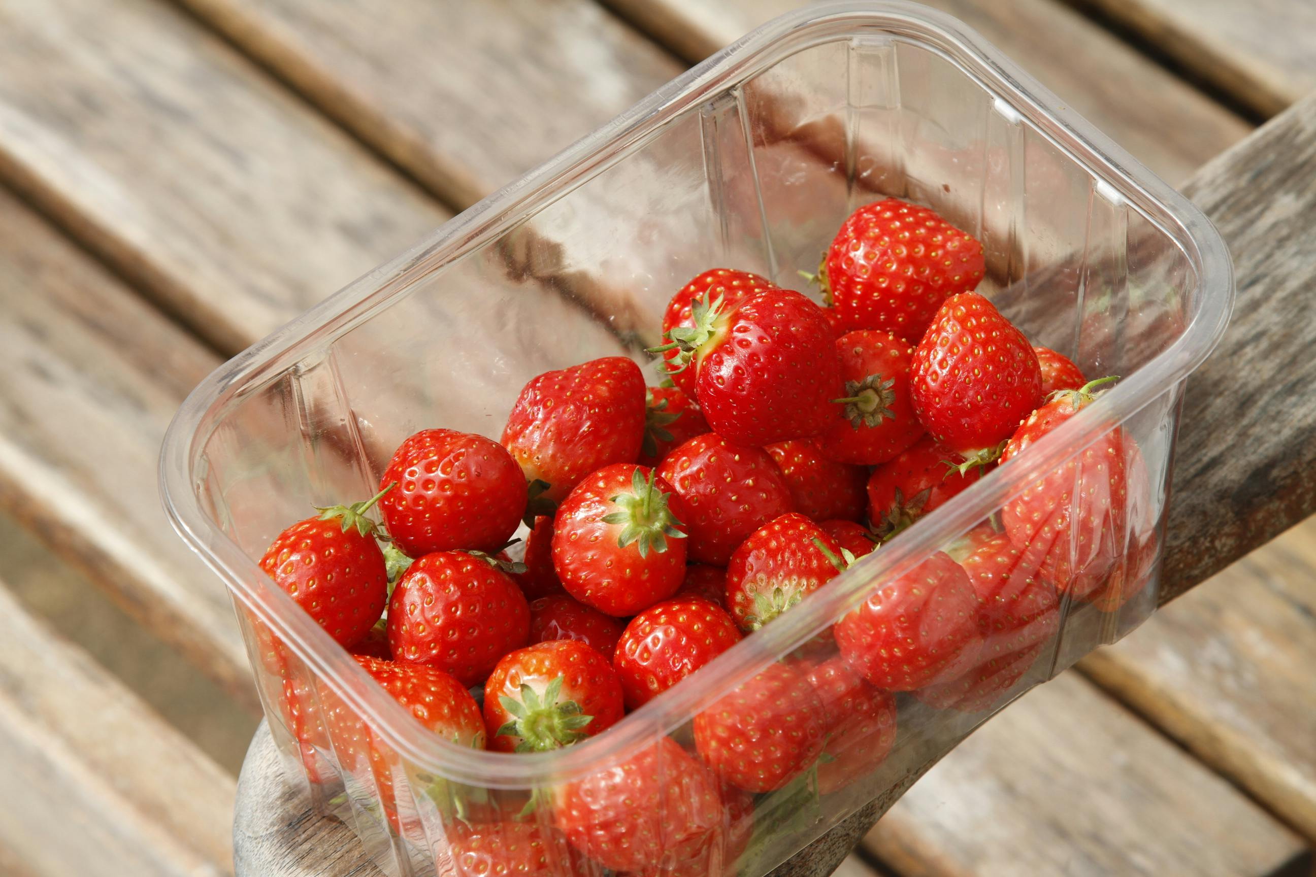 Red Strawberries in a Clear Plastic Container · Free Stock Photo
