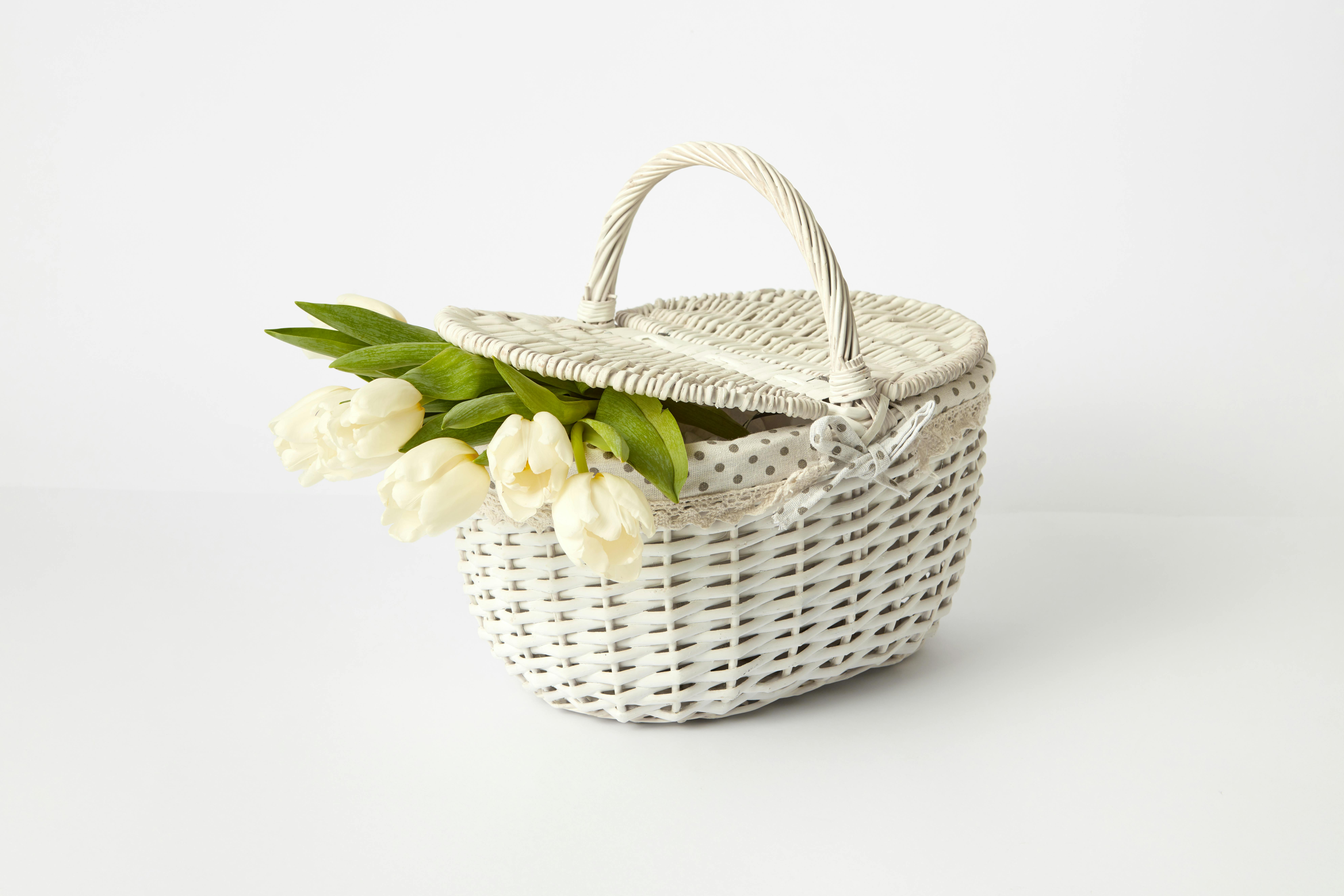 200,000+ Best White Photos · 100% Free Download · Pexels Stock Photos