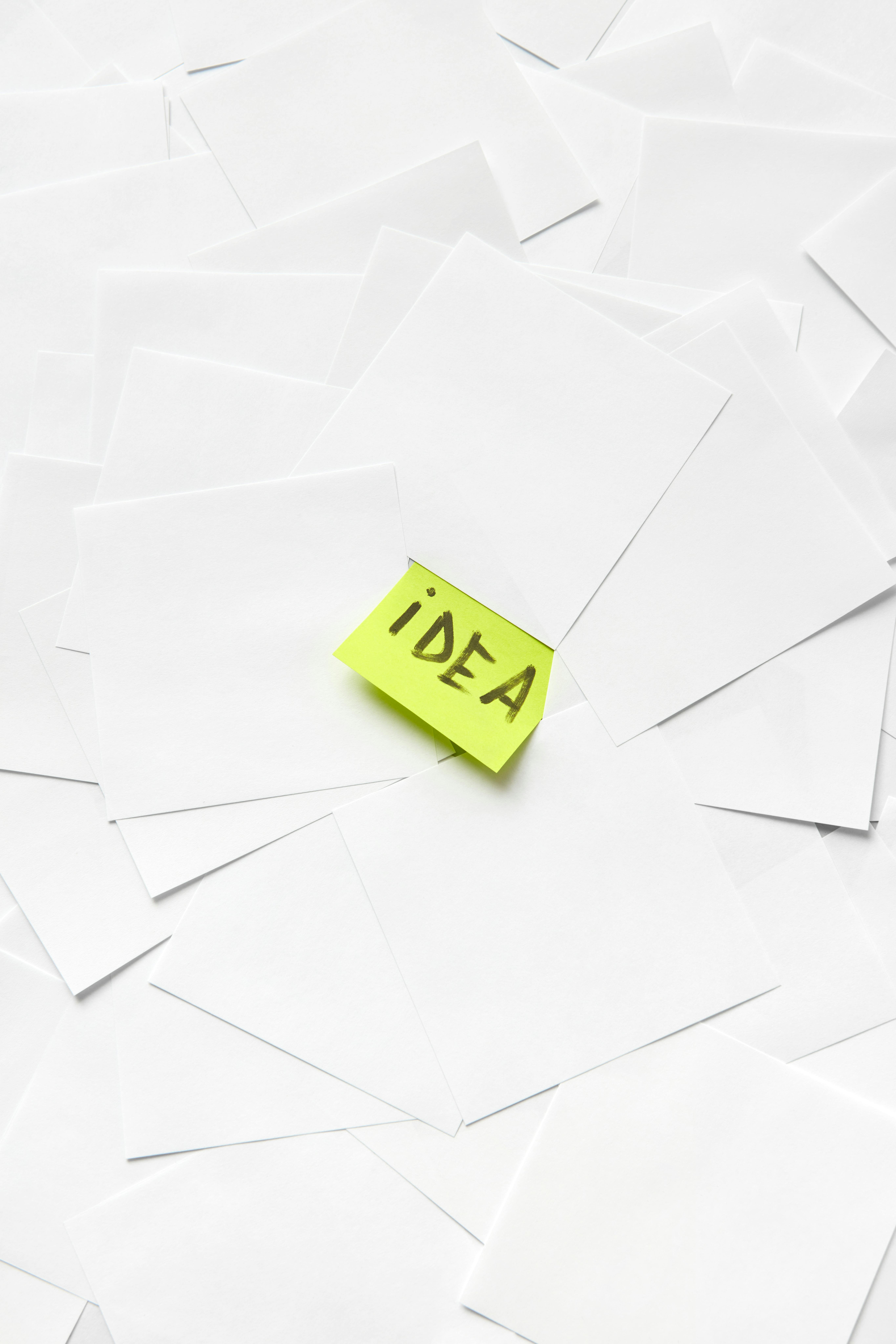 Sticky Note on a Skeleton · Free Stock Photo