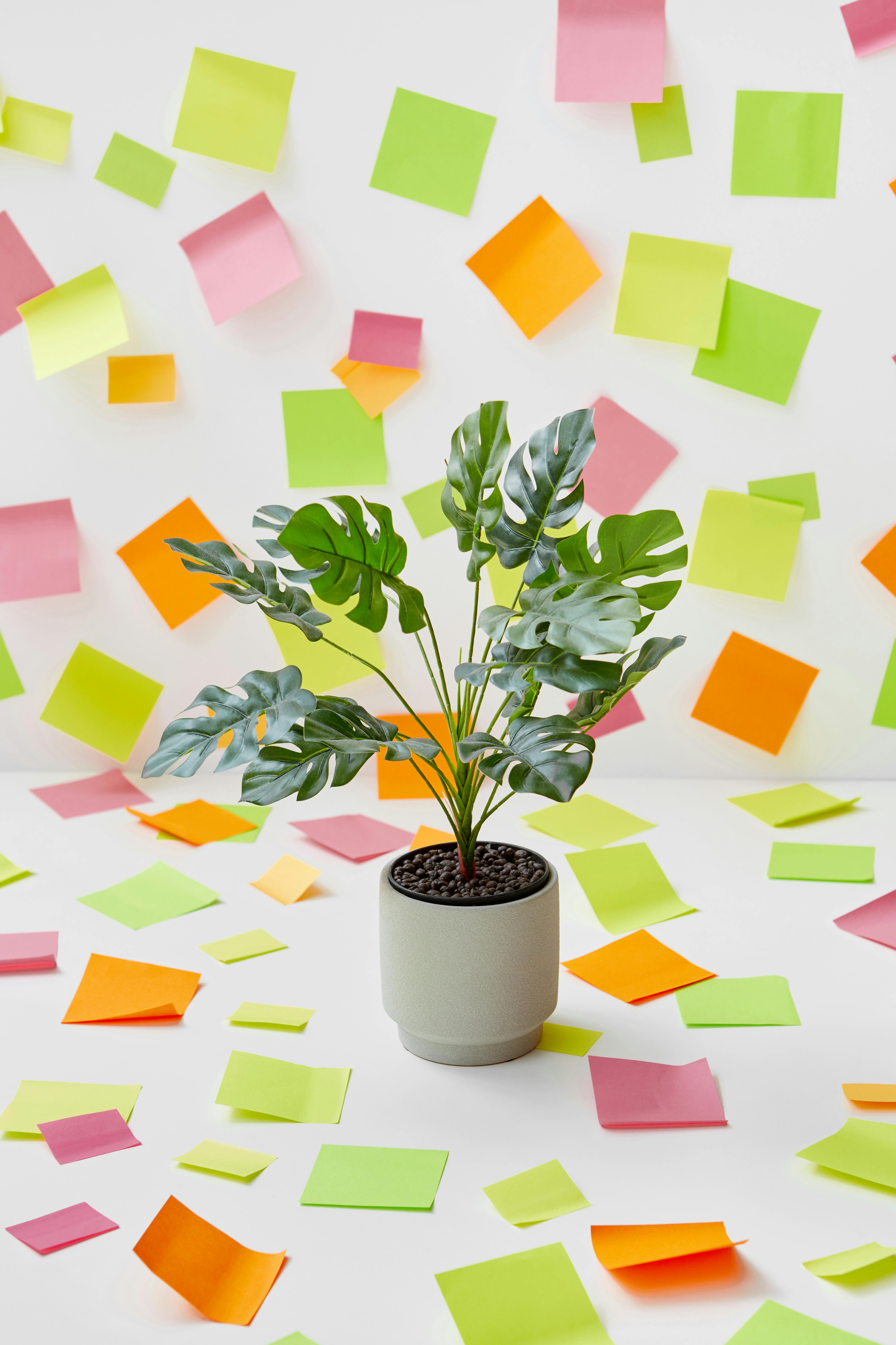 Colorful Sticky Notes · Free Stock Photo