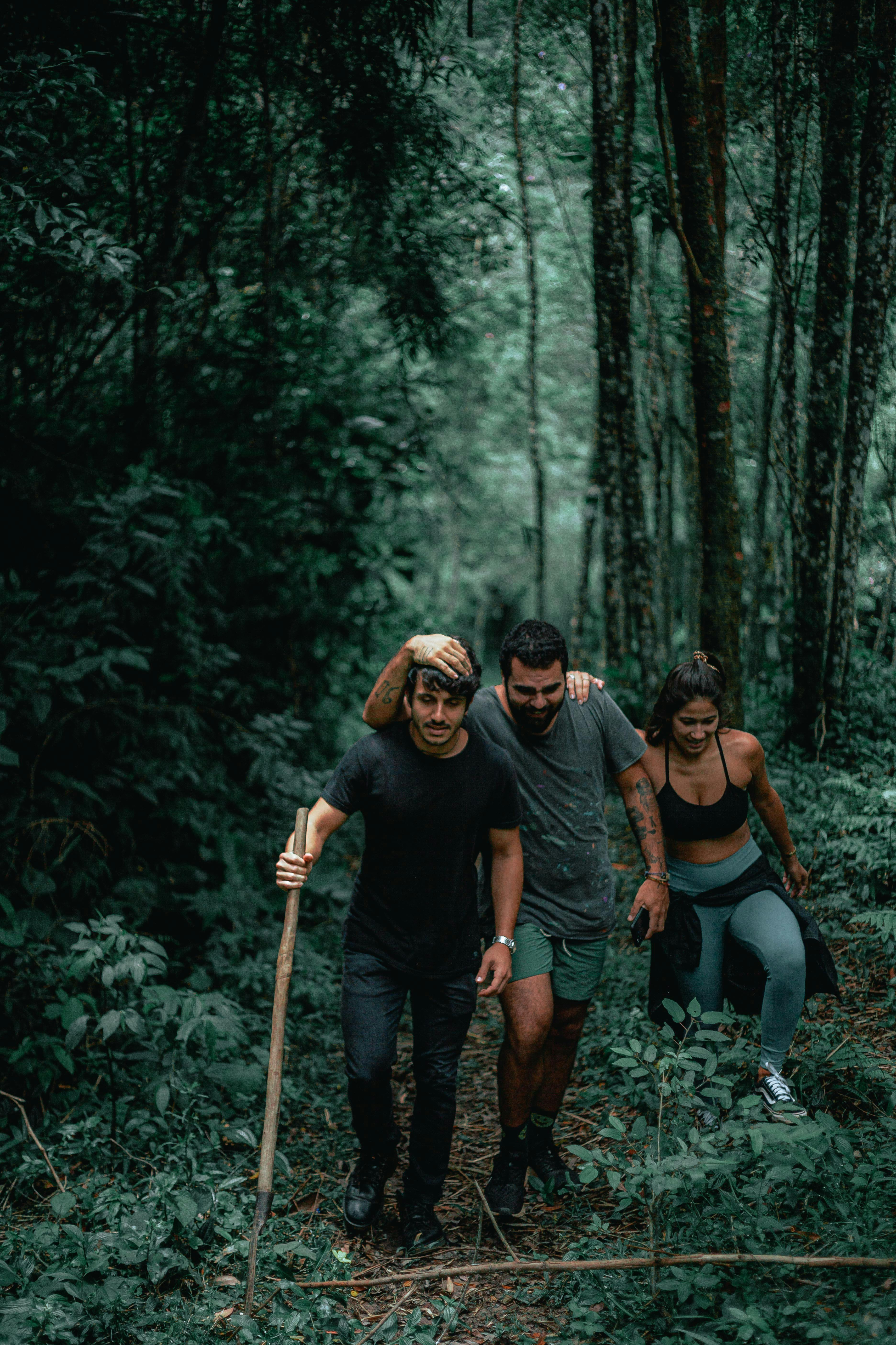 A Group of People Walking on a Path in the Woods · Free Stock Photo