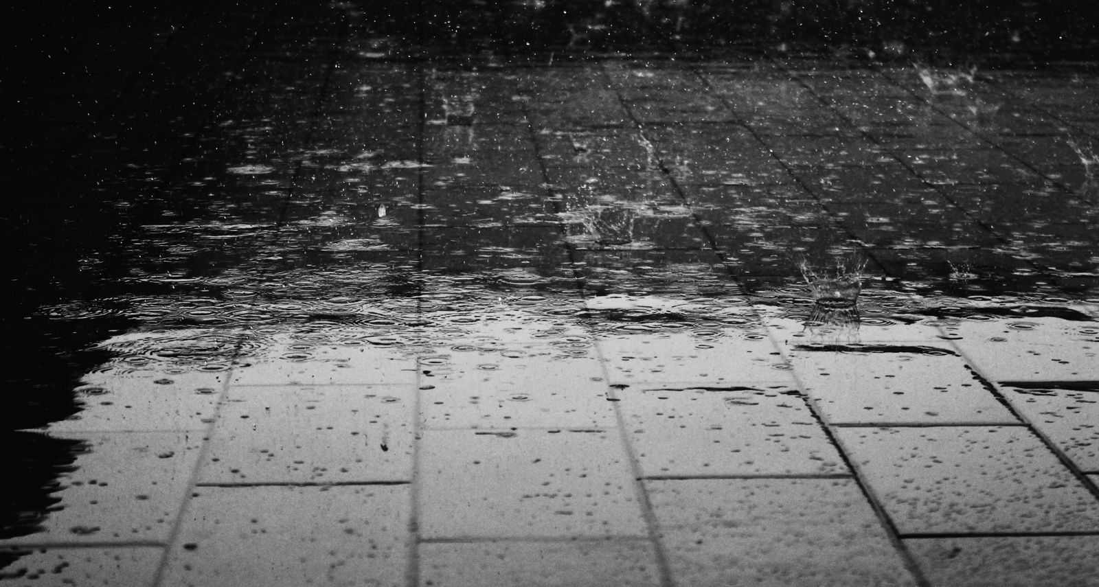 Wet Floor Photos, Download The BEST Free Wet Floor Stock Photos & HD Images