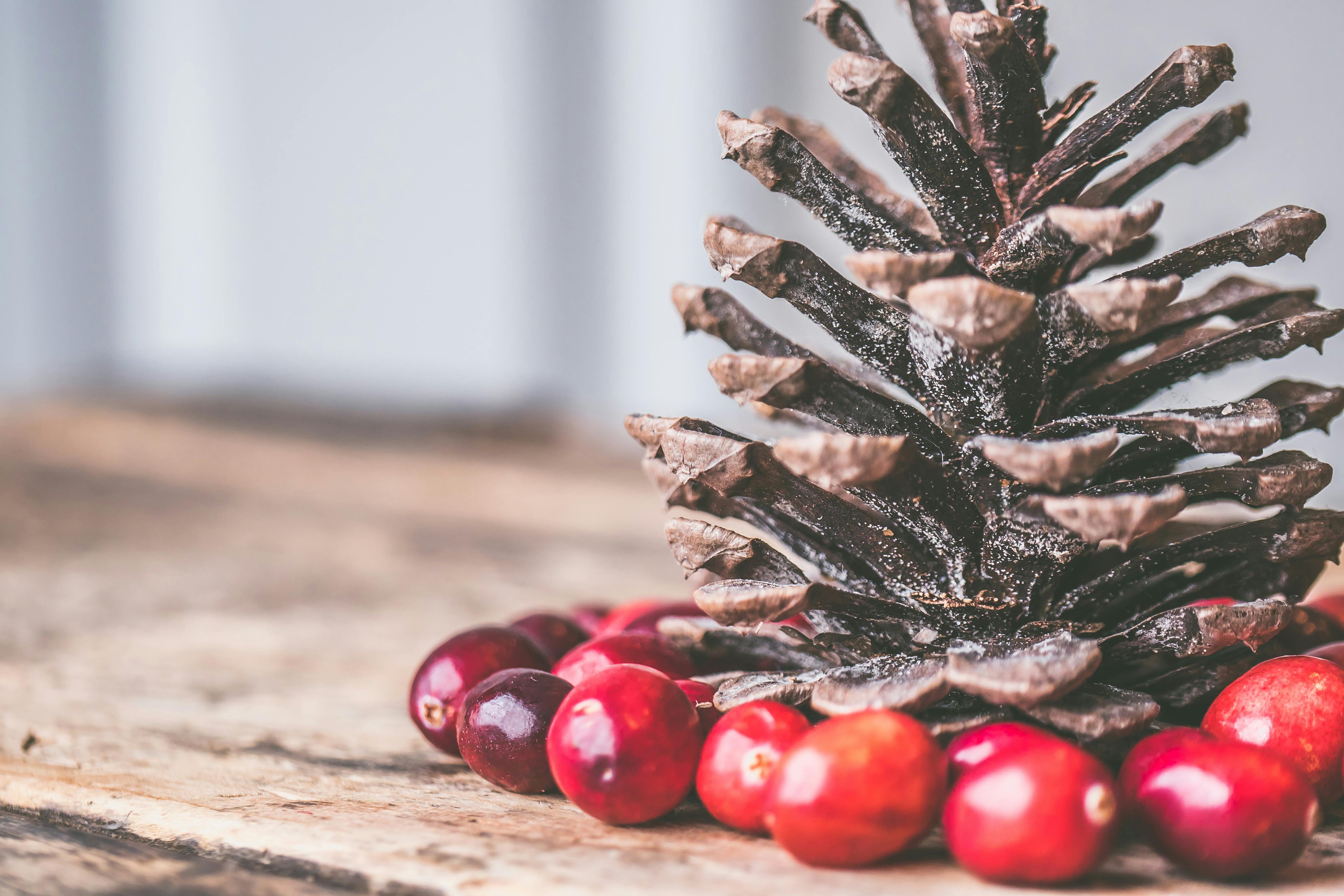 Close-up of Heart Shape · Free Stock Photo