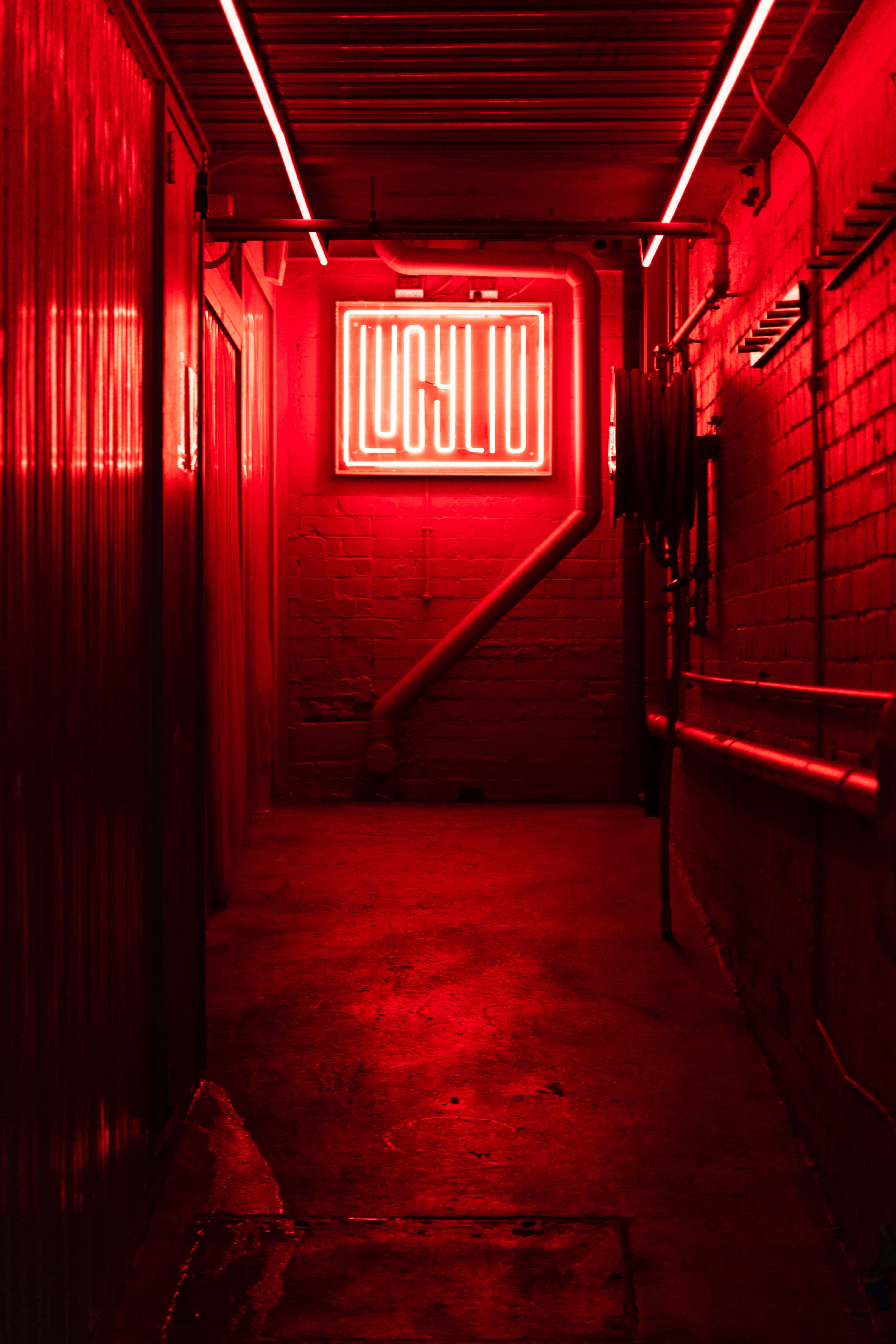 Red and White Neon Light Signage · Free Stock Photo