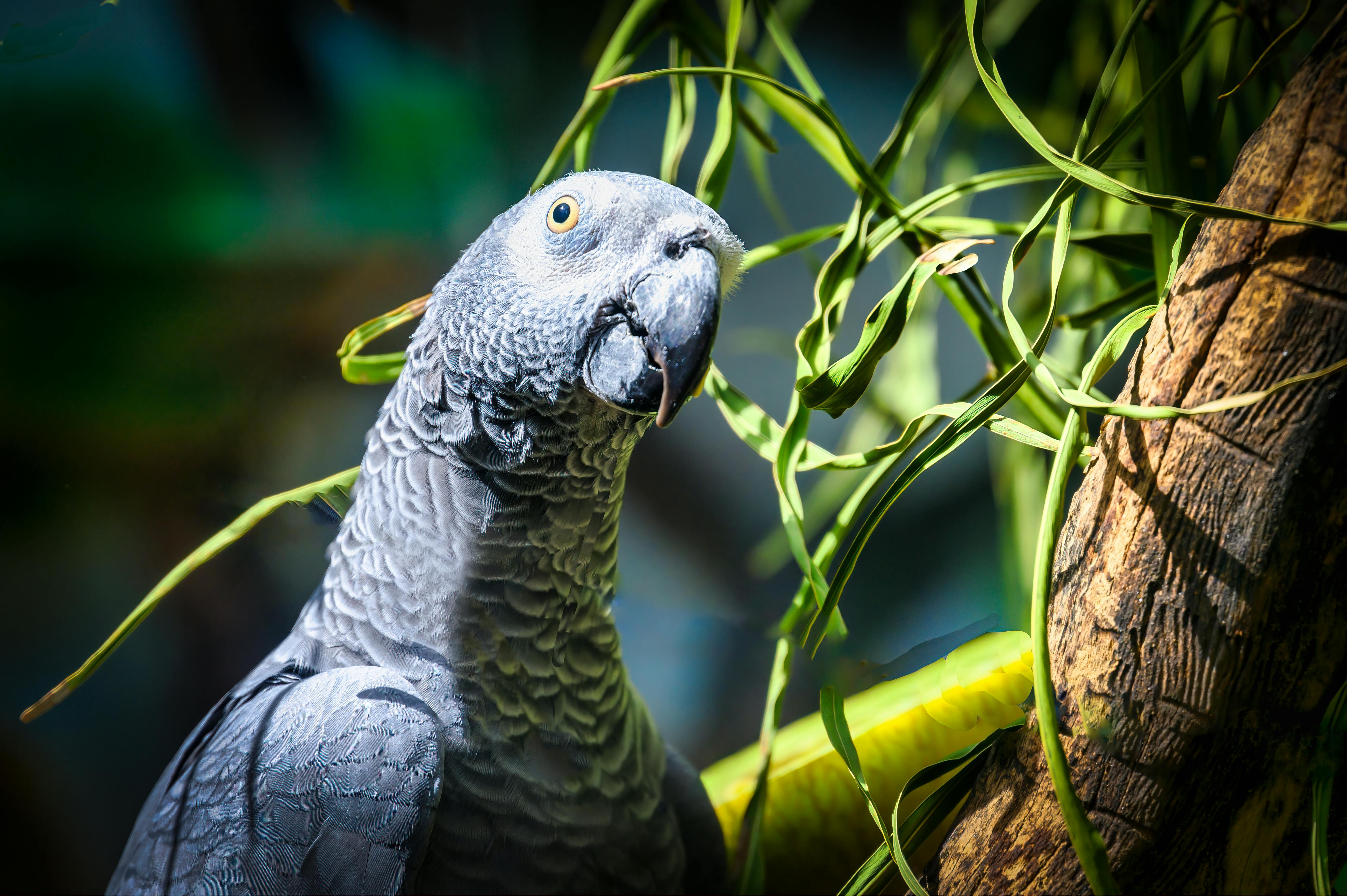 Avner Ben zvi - Photography