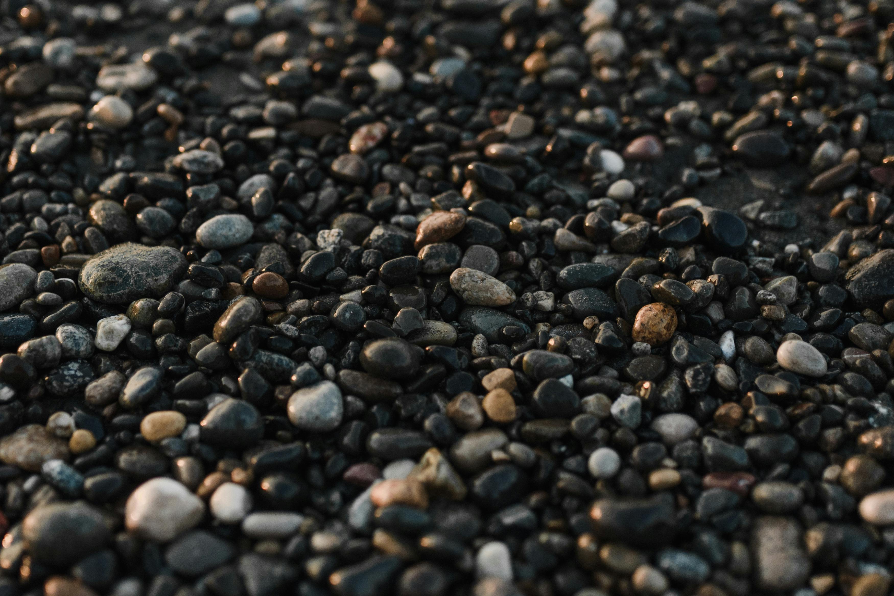 Wet Pebbles · Free Stock Photo