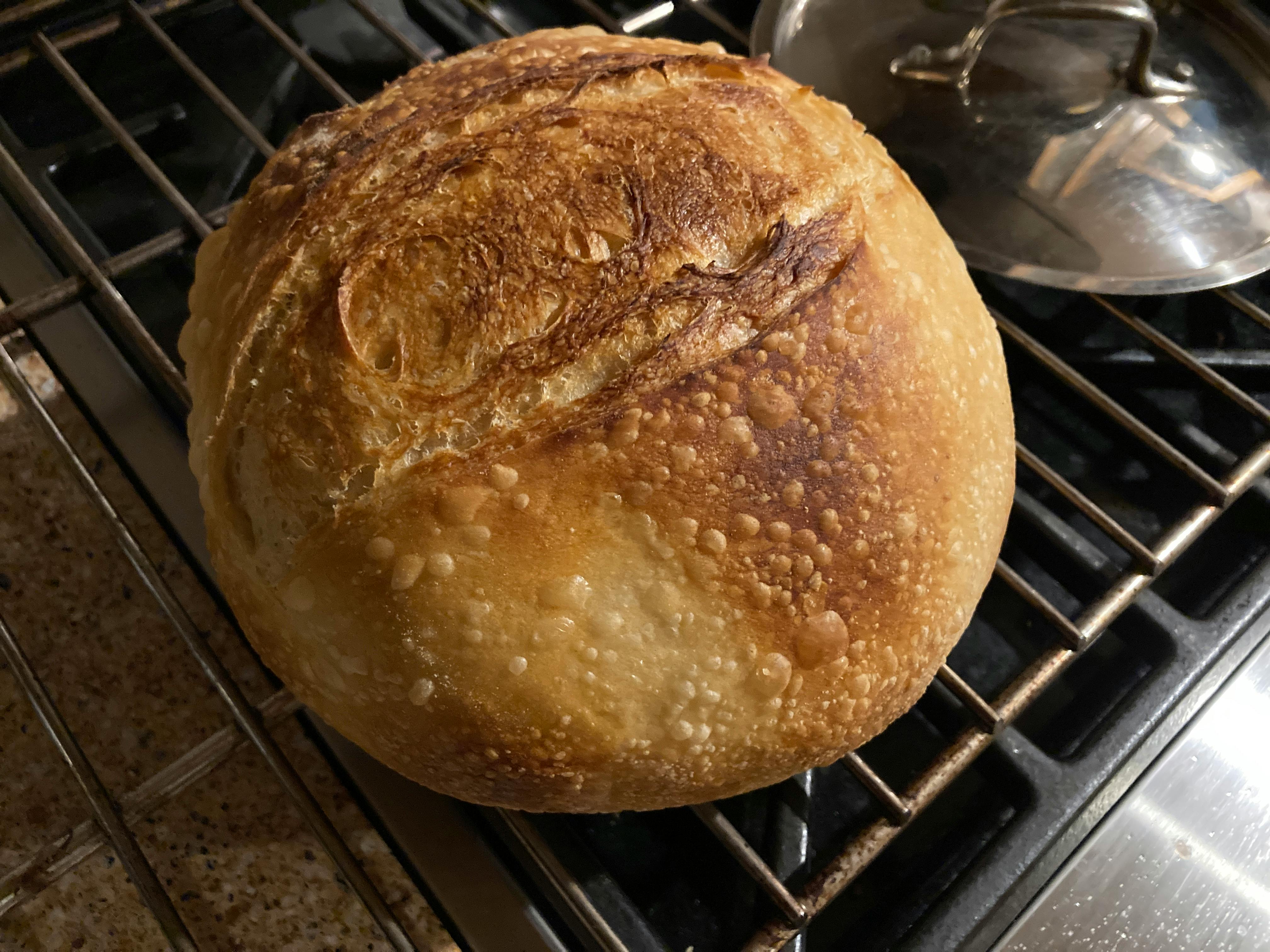 Carol McCormick - Photographie