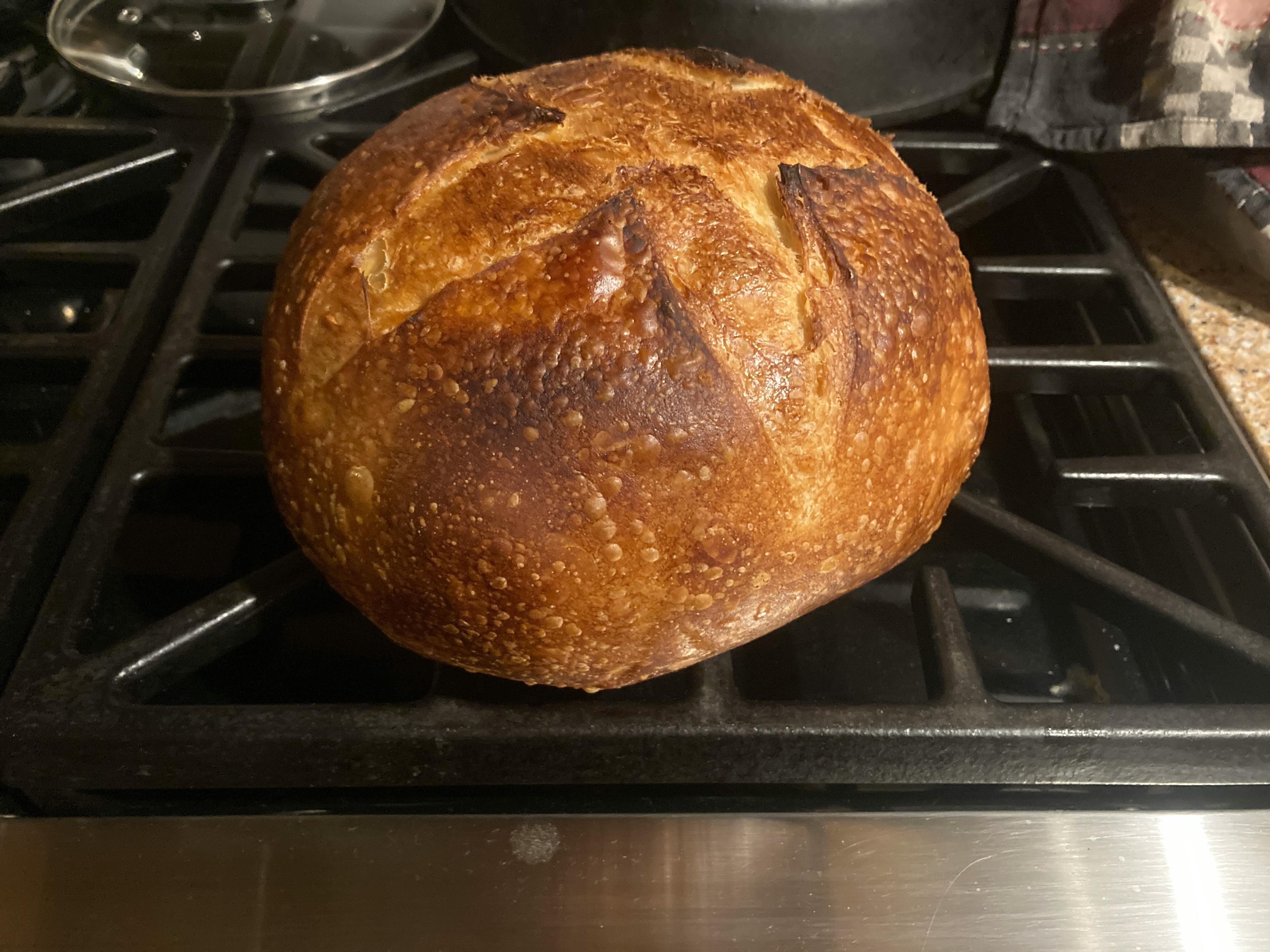 Carol McCormick - Photographie