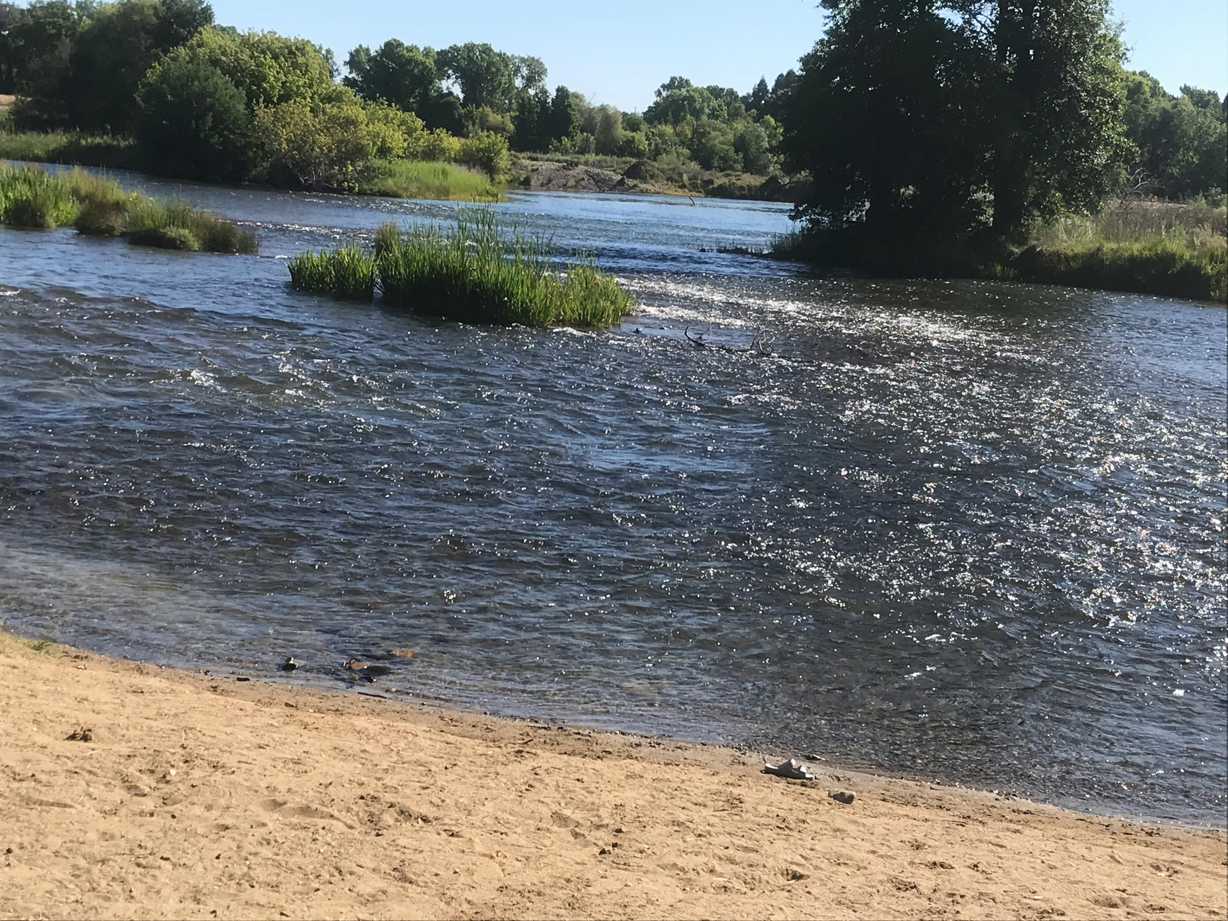 Carol McCormick - 사진