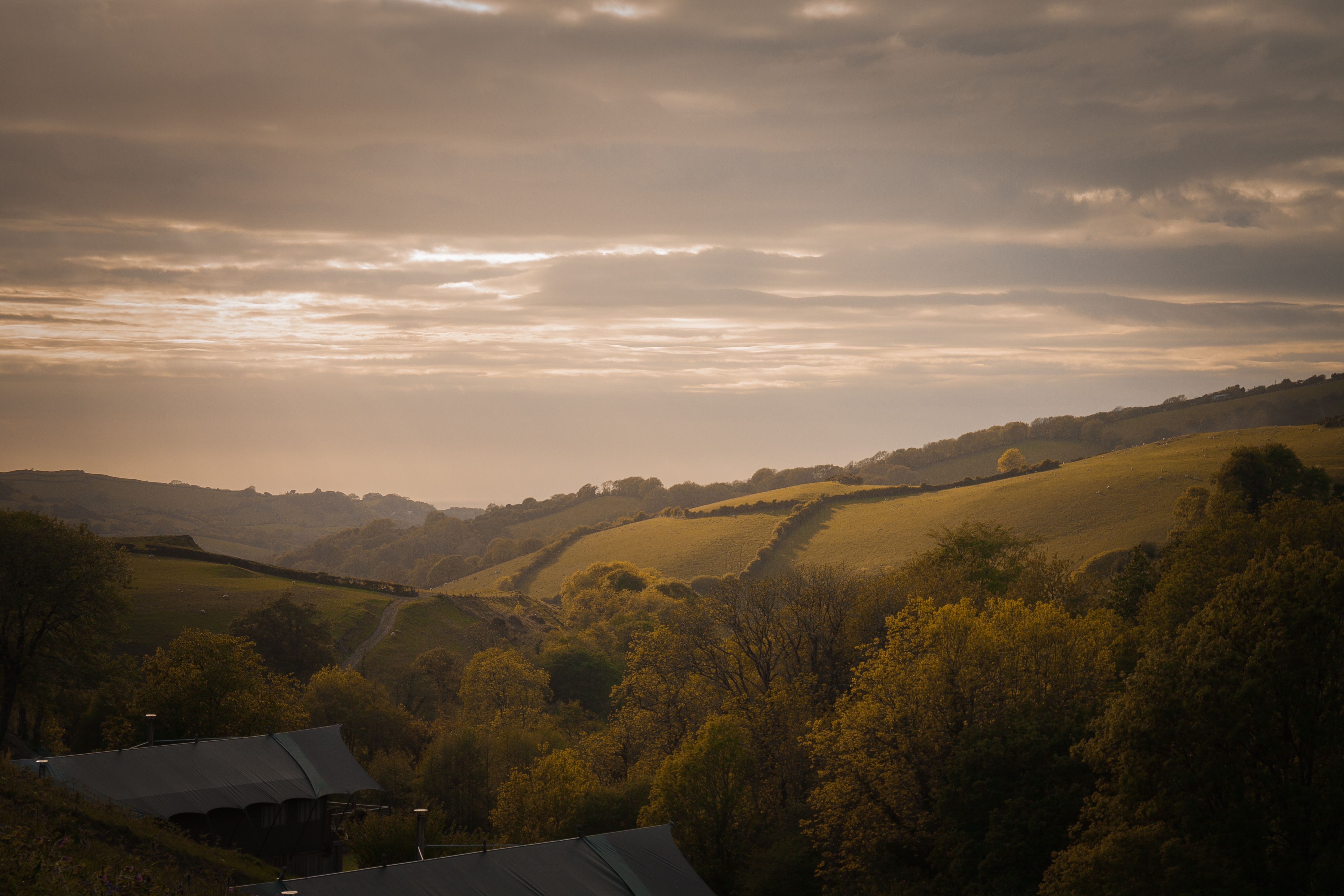 Green Leaf Trees Under Cloudy Sky · Free Stock Photo