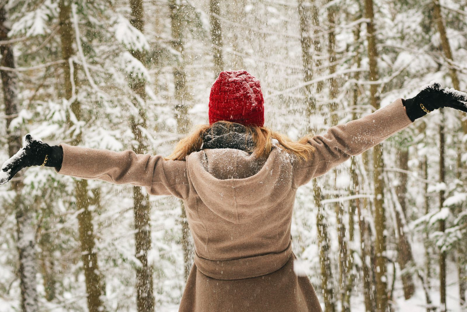 Cold Weather Photos, Download The BEST Free Cold Weather Stock Photos ...