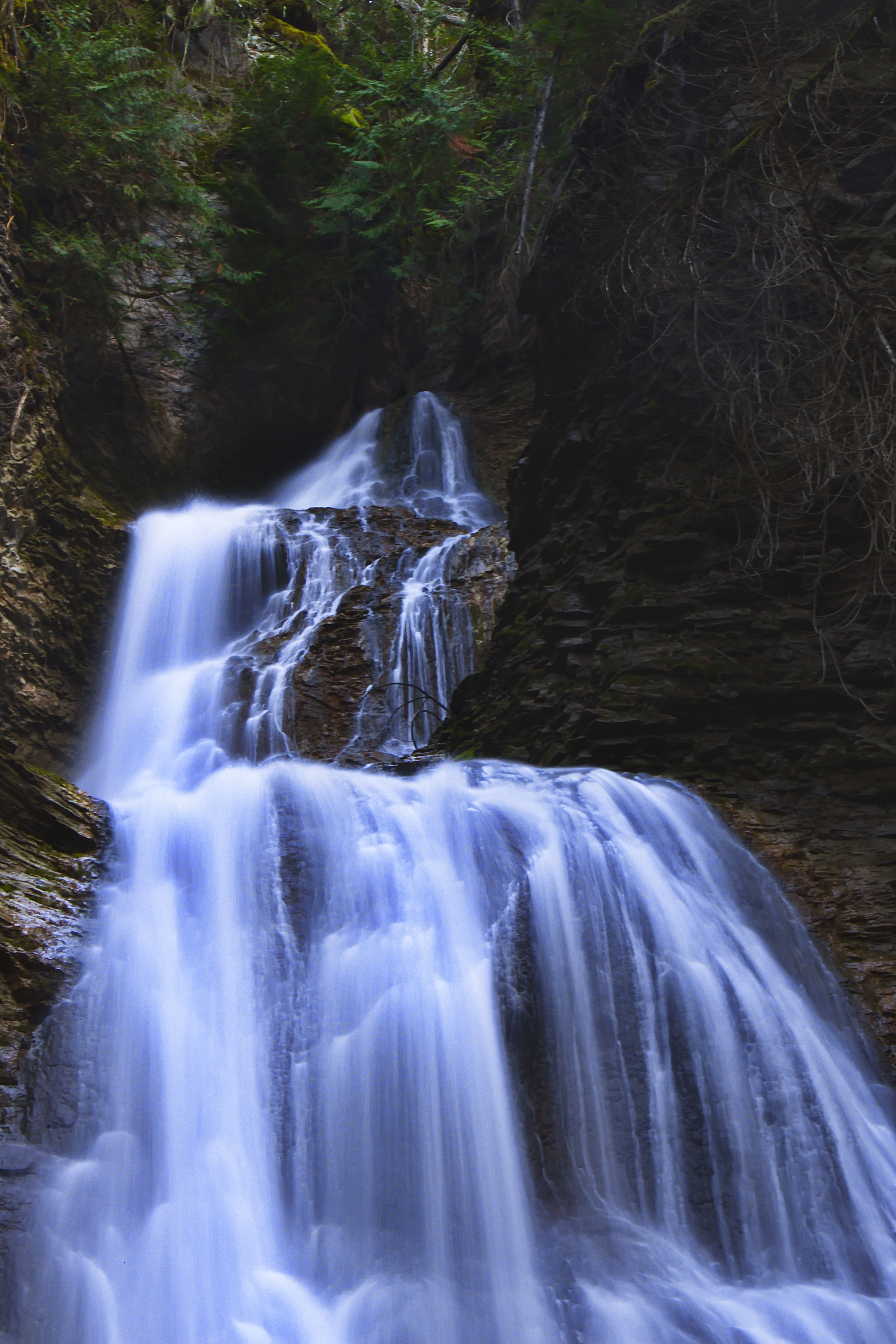 Waterfalls Cascading Near Forest · Free Stock Photo