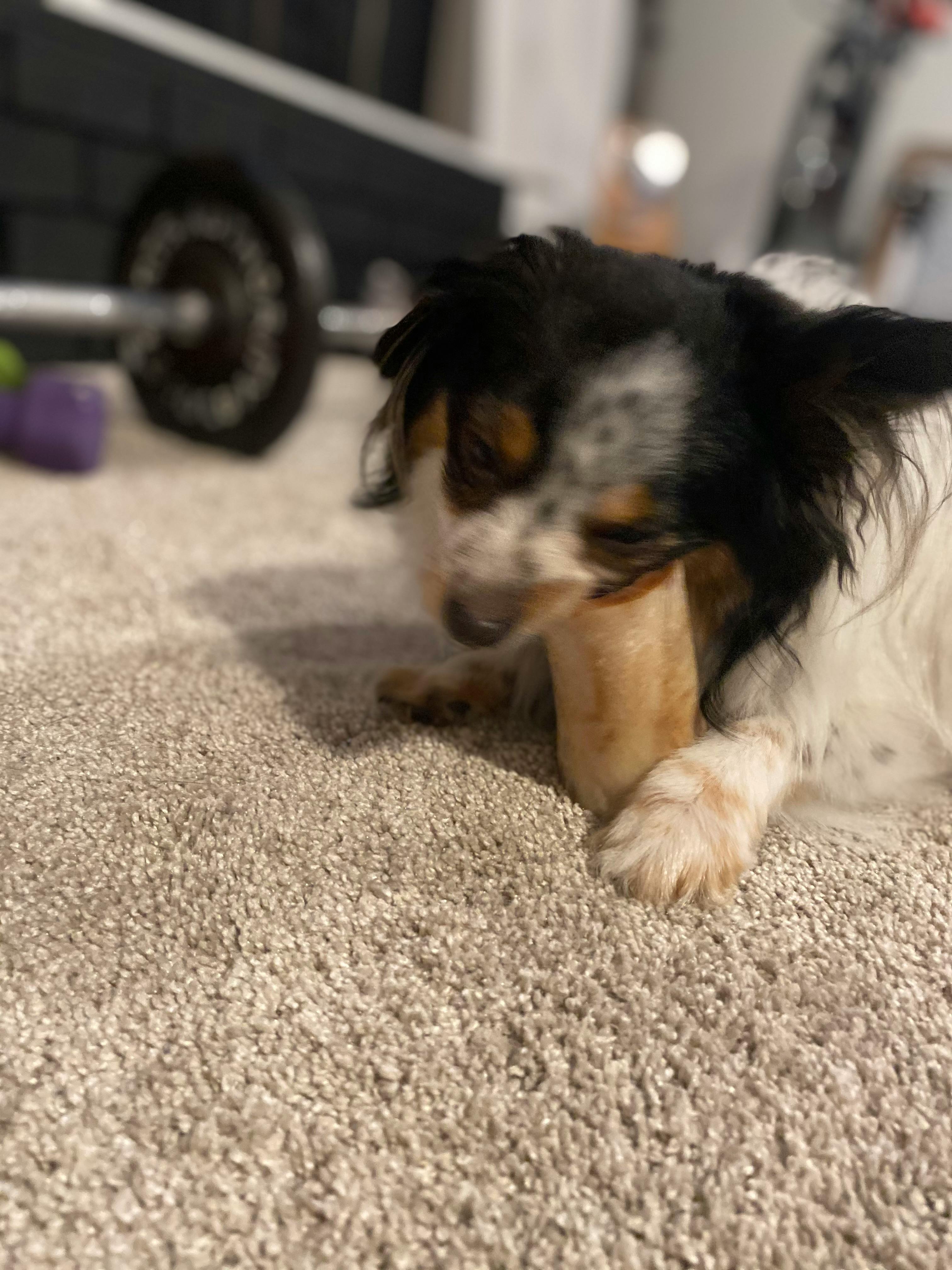 Jesse Roach - 摄影