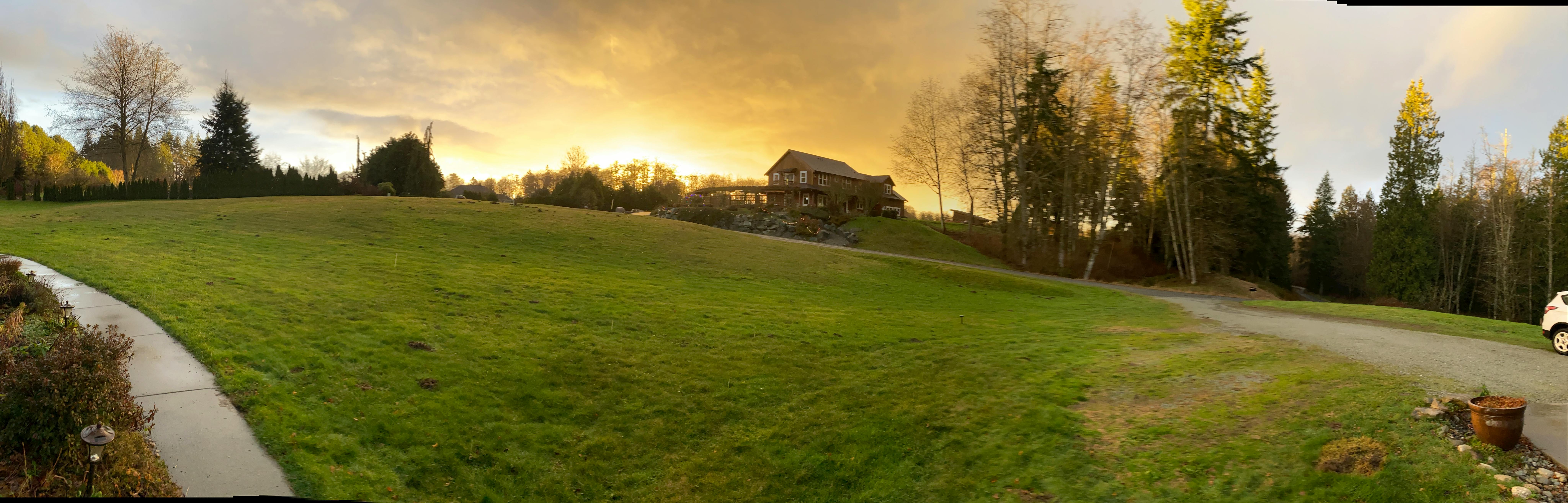 Jesse Roach - 摄影