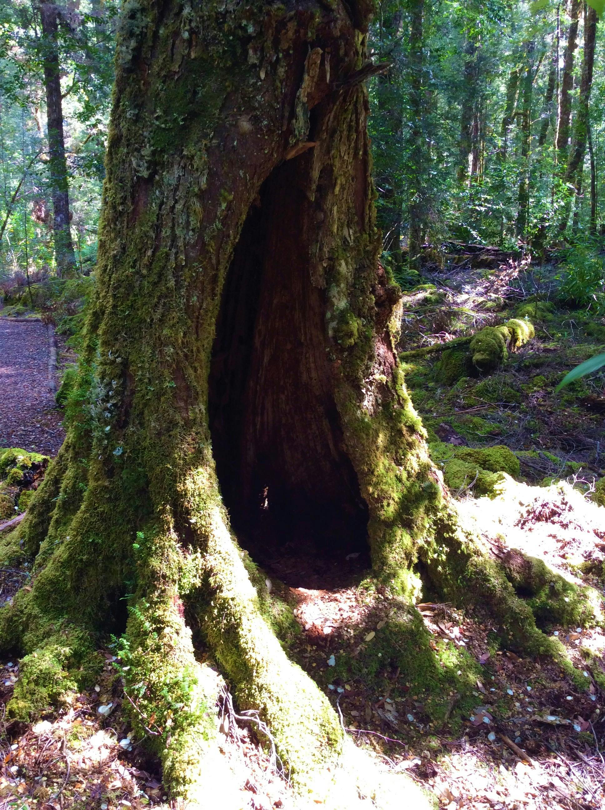 Memories 27 Photos & Videos Collected by Amajuba Indlu-Inceku