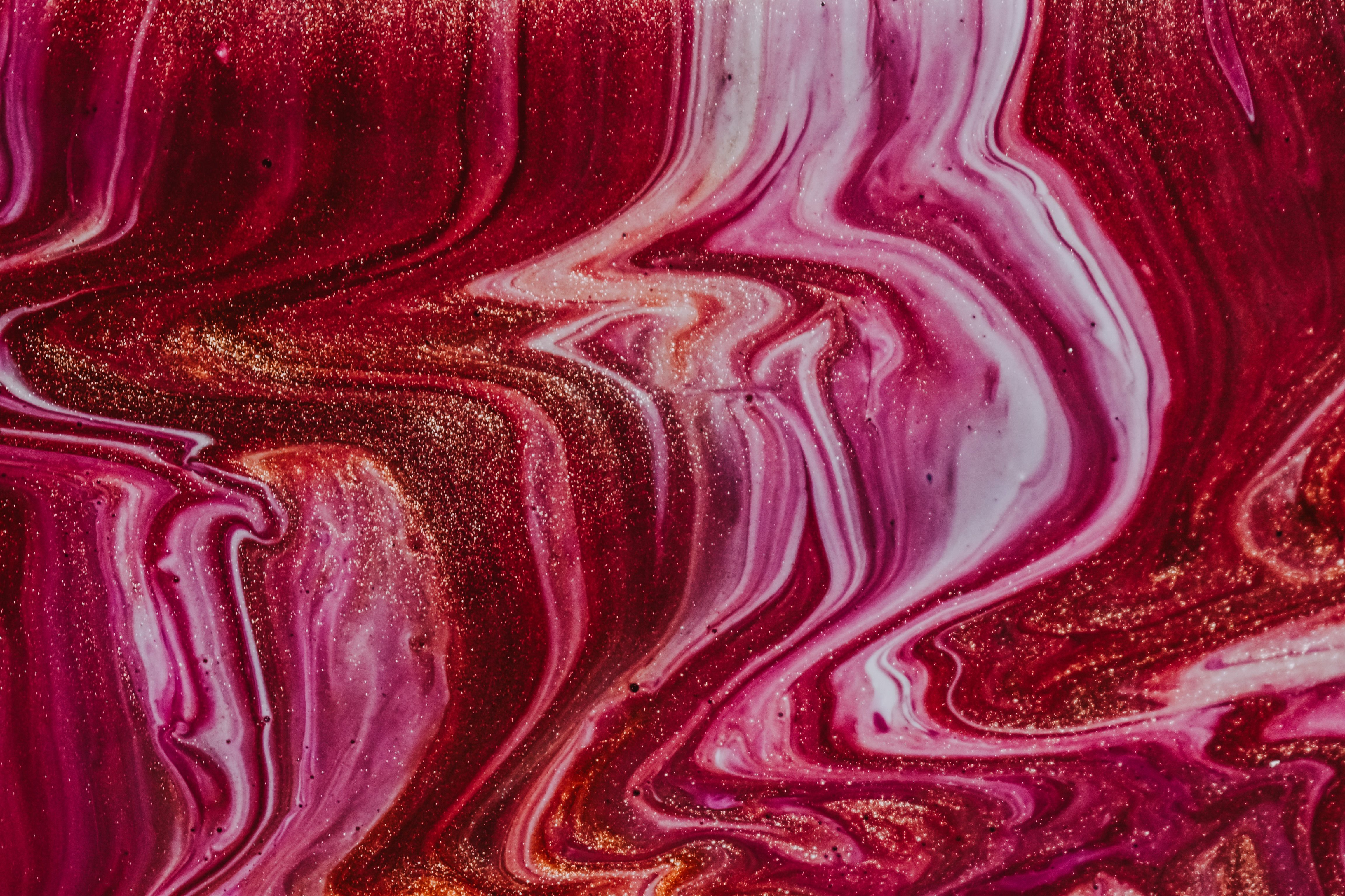 Fuchsia Background Photos, Download The BEST Free Fuchsia Background ...