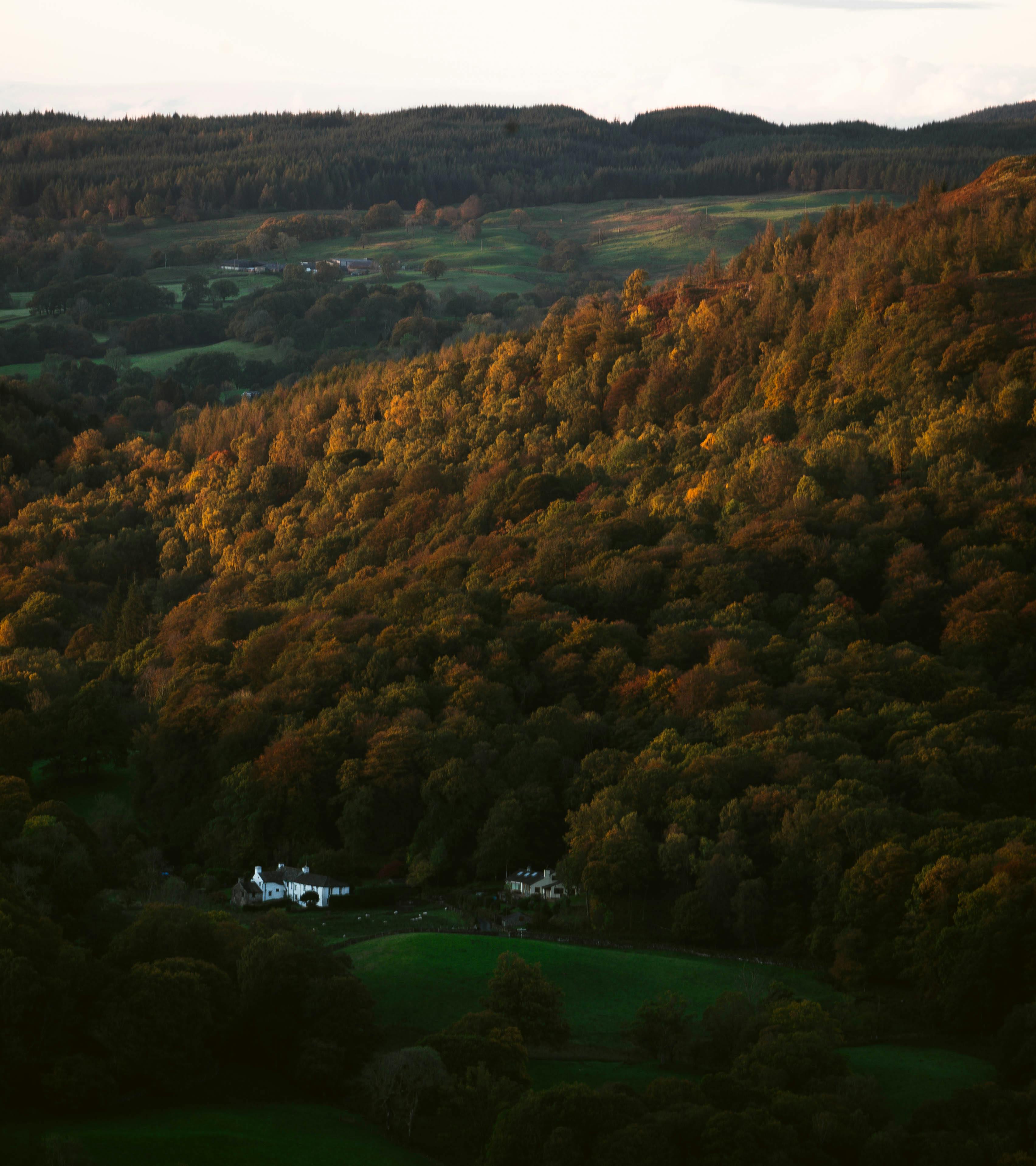 Aerial Photography of Countryside · Free Stock Photo