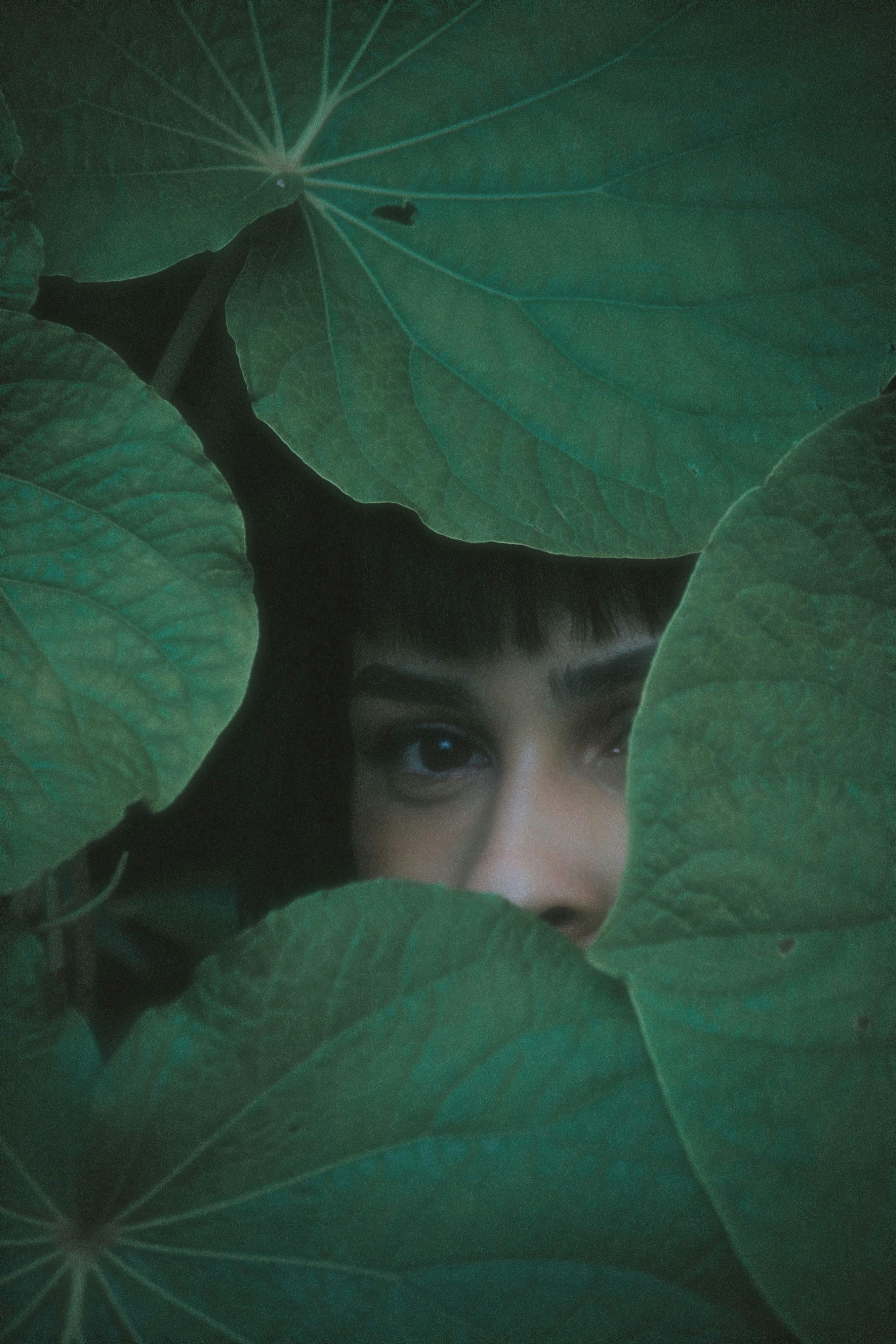 Close-Up Shot of a Person Hiding behind Green Leaves · Free Stock Photo