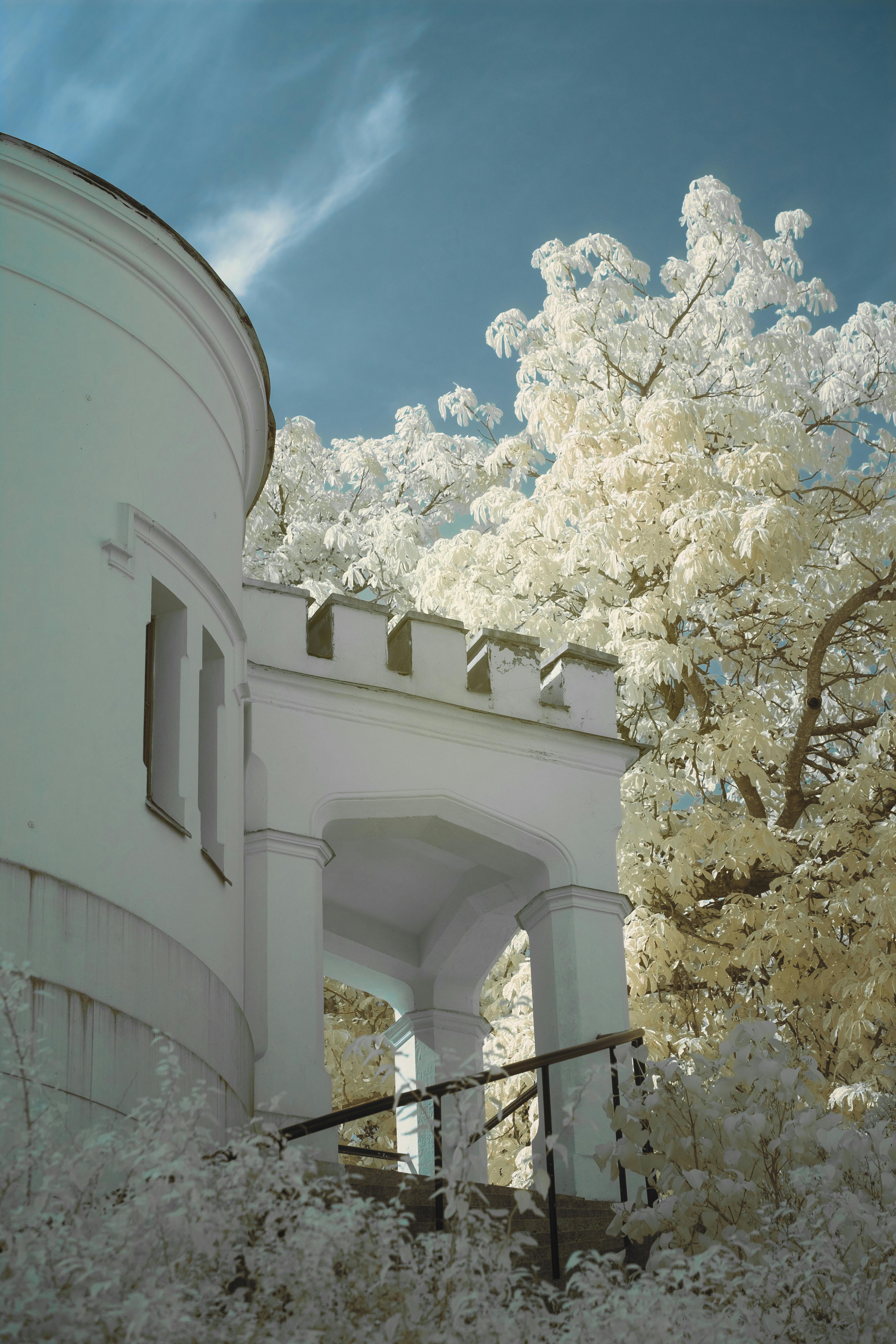 Aged building with columns under branches of tree · Free Stock Photo