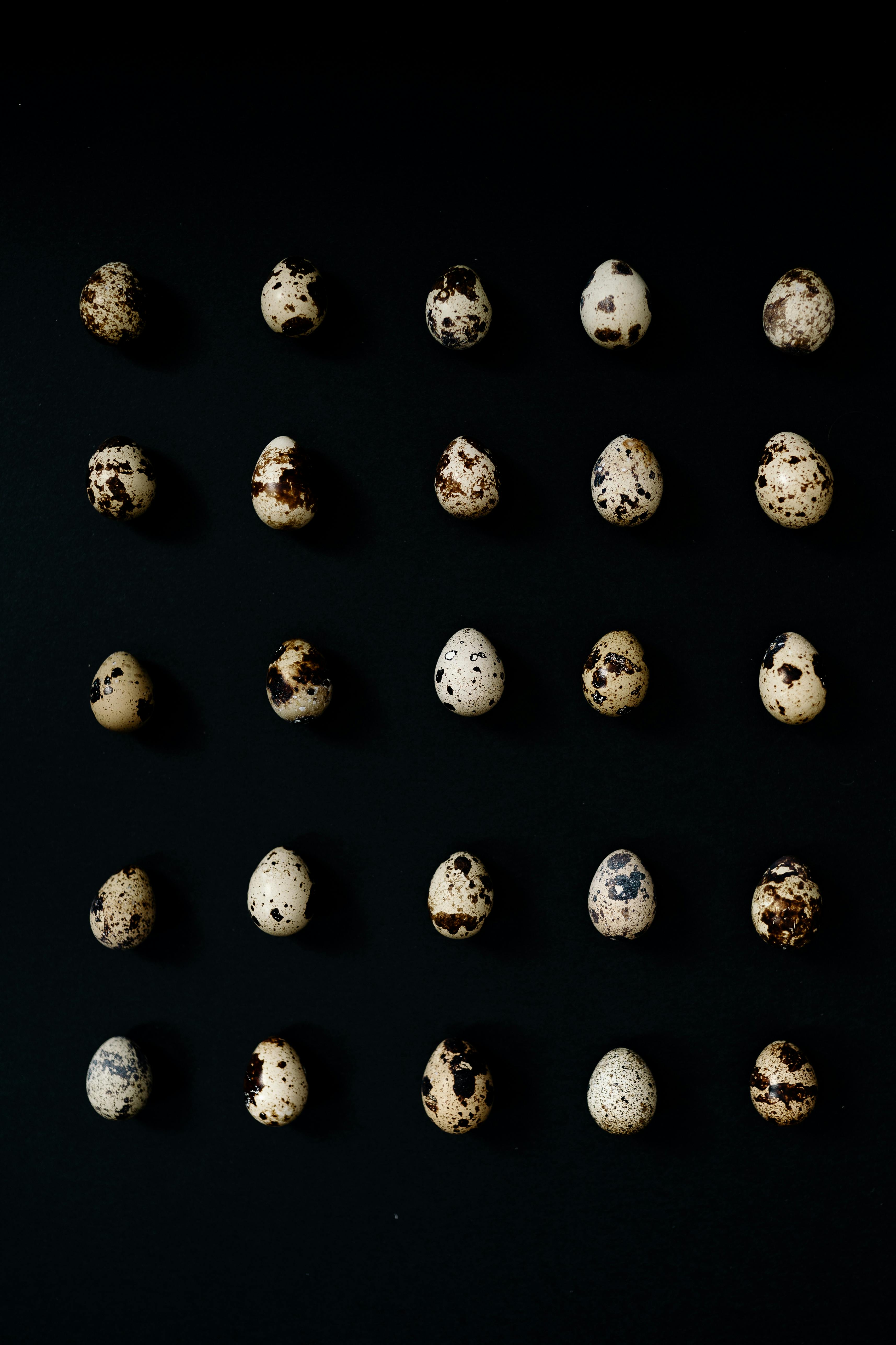 Sari Pattern Photos, Download Free Sari Pattern Stock Photos & HD Images