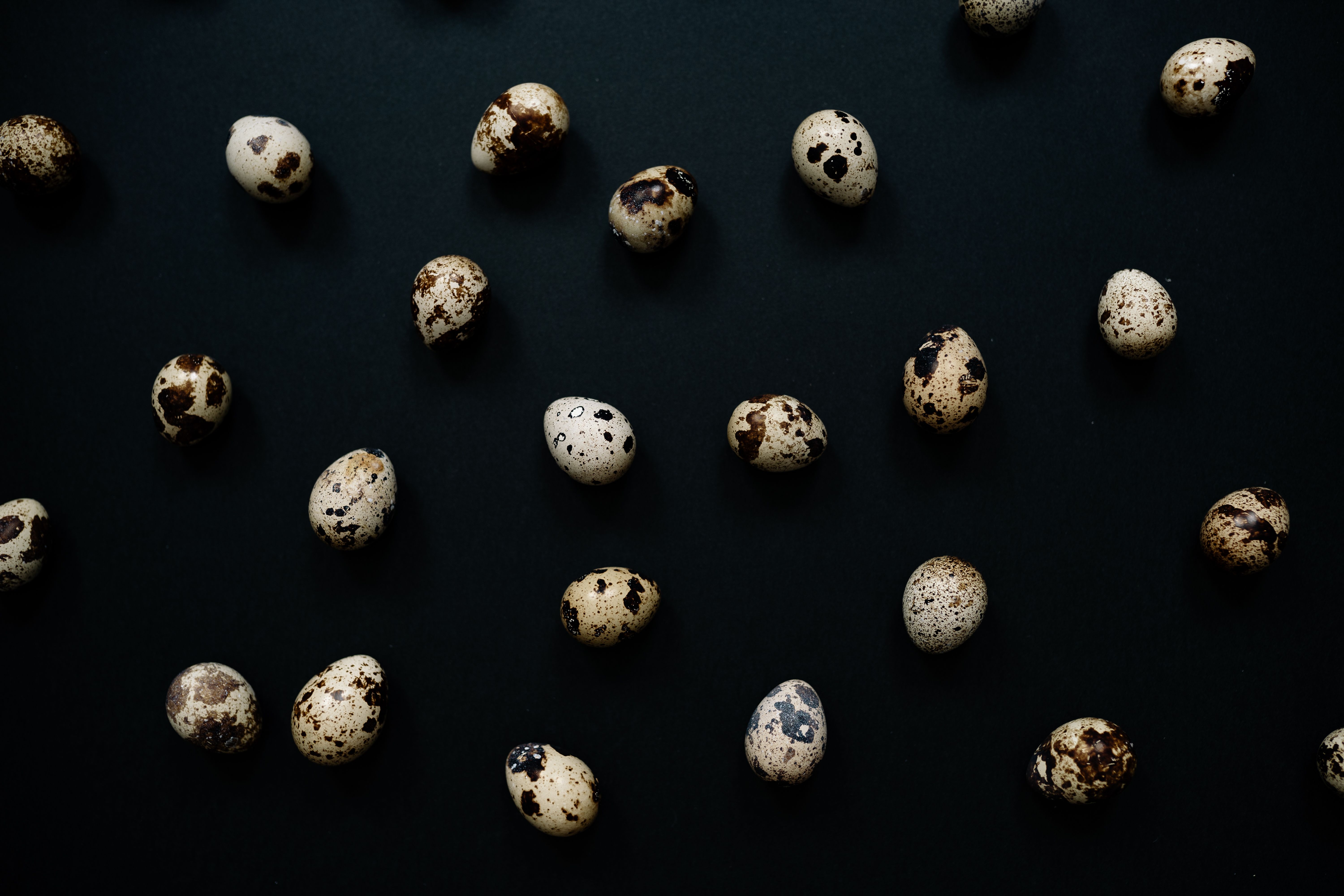A Close-Up Shot of Quail Eggs · Free Stock Photo