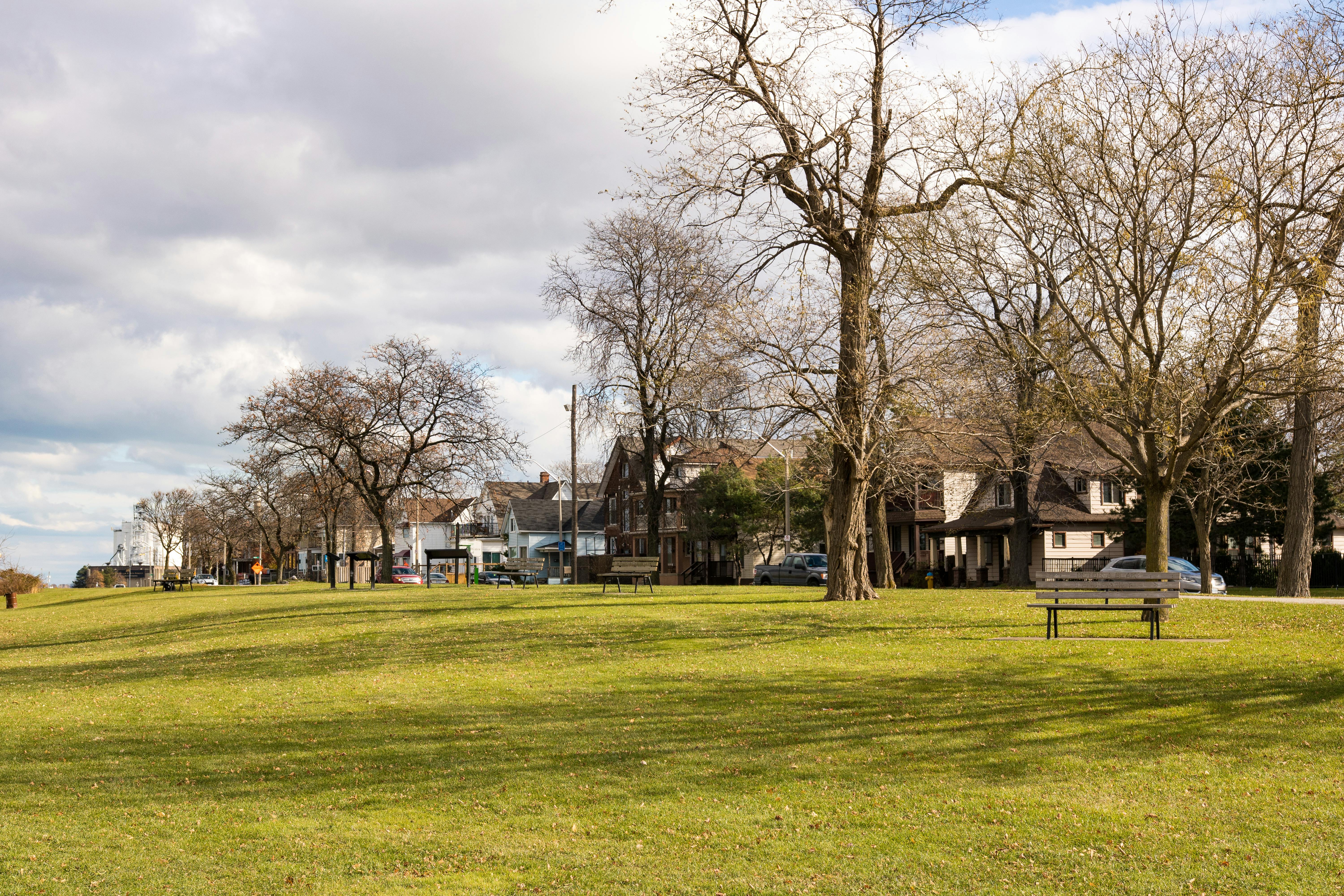 Free stock photo of canada, grass, ontario