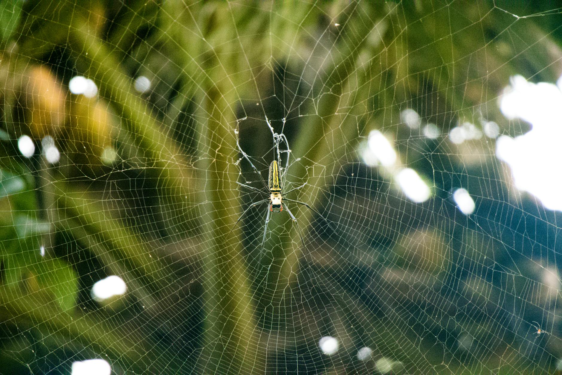 Free Stock Photo From M Pexels free-stock-photo-from-m-pexels