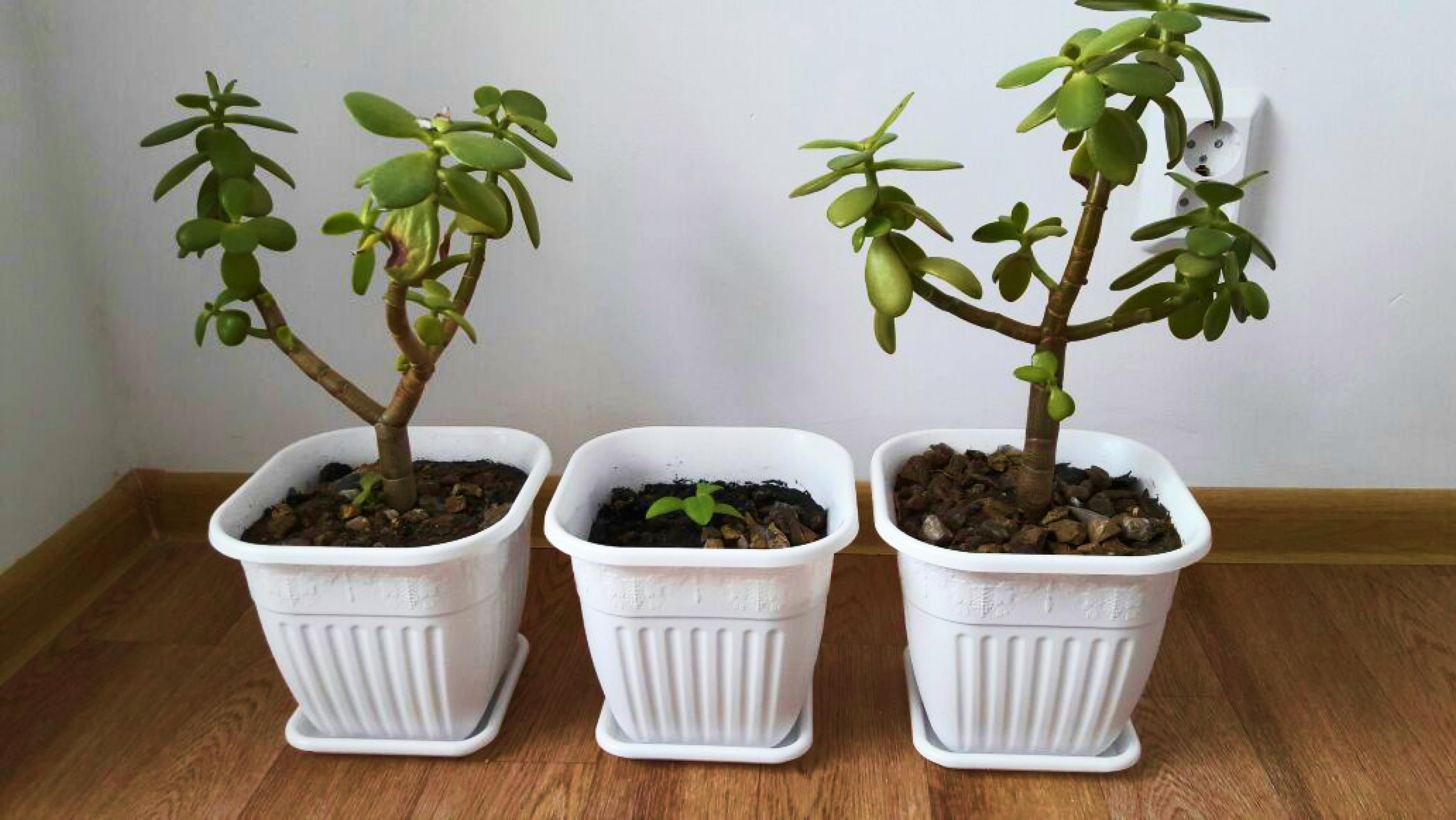 Ayazhan - Fotografía