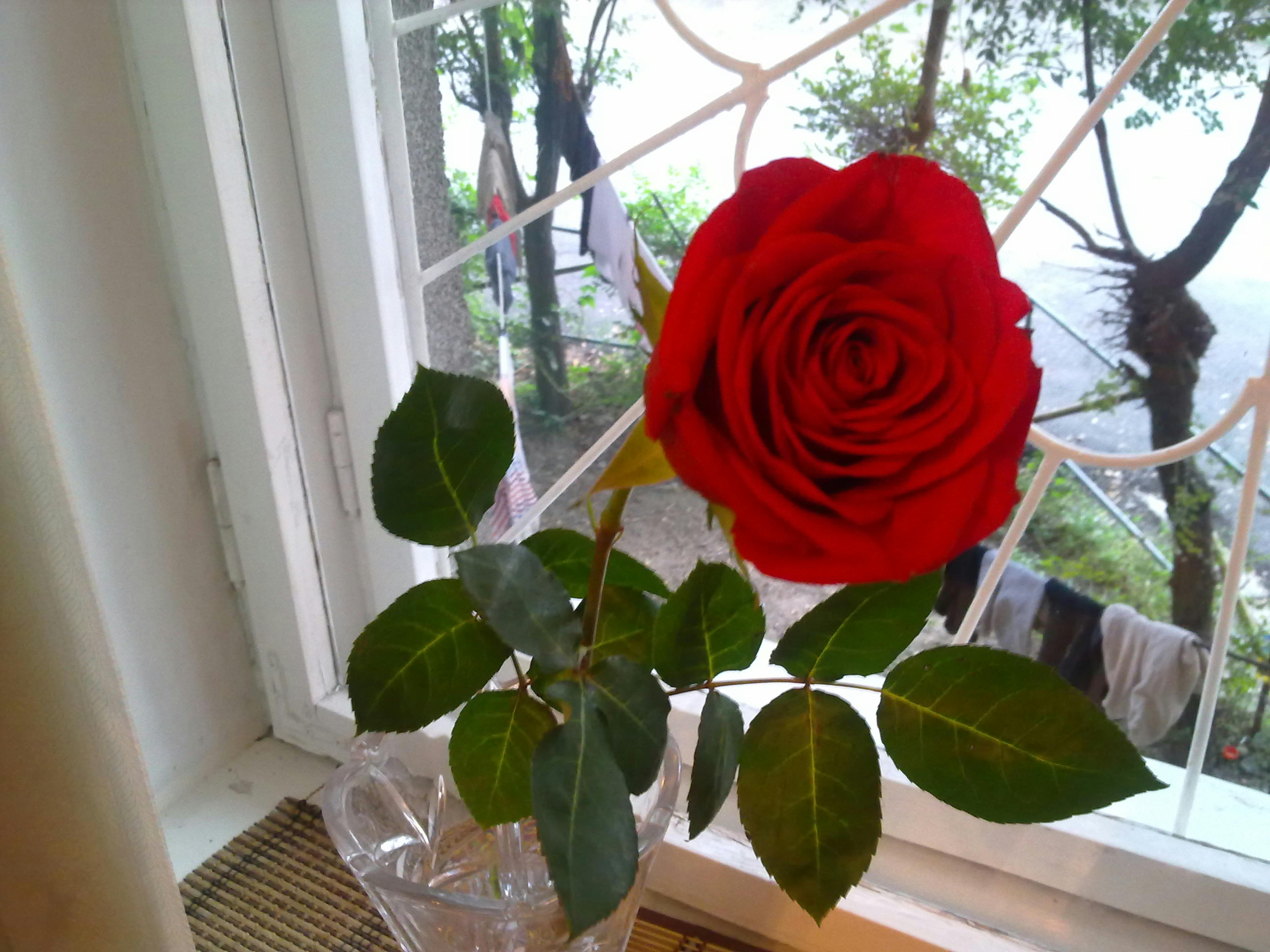 Ayazhan - Fotografía