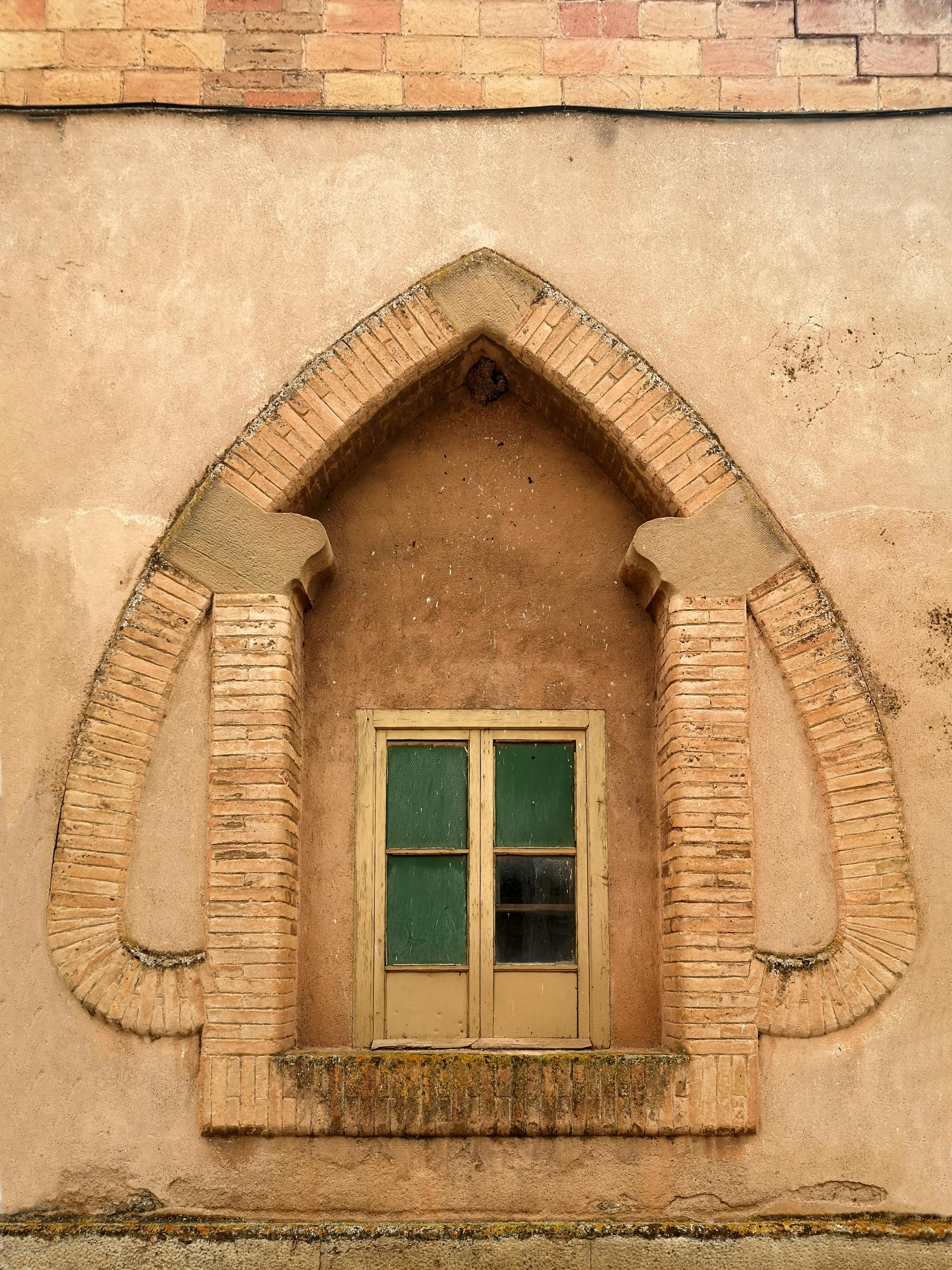 Callus Photos, Download The BEST Free Callus Stock Photos & HD Images