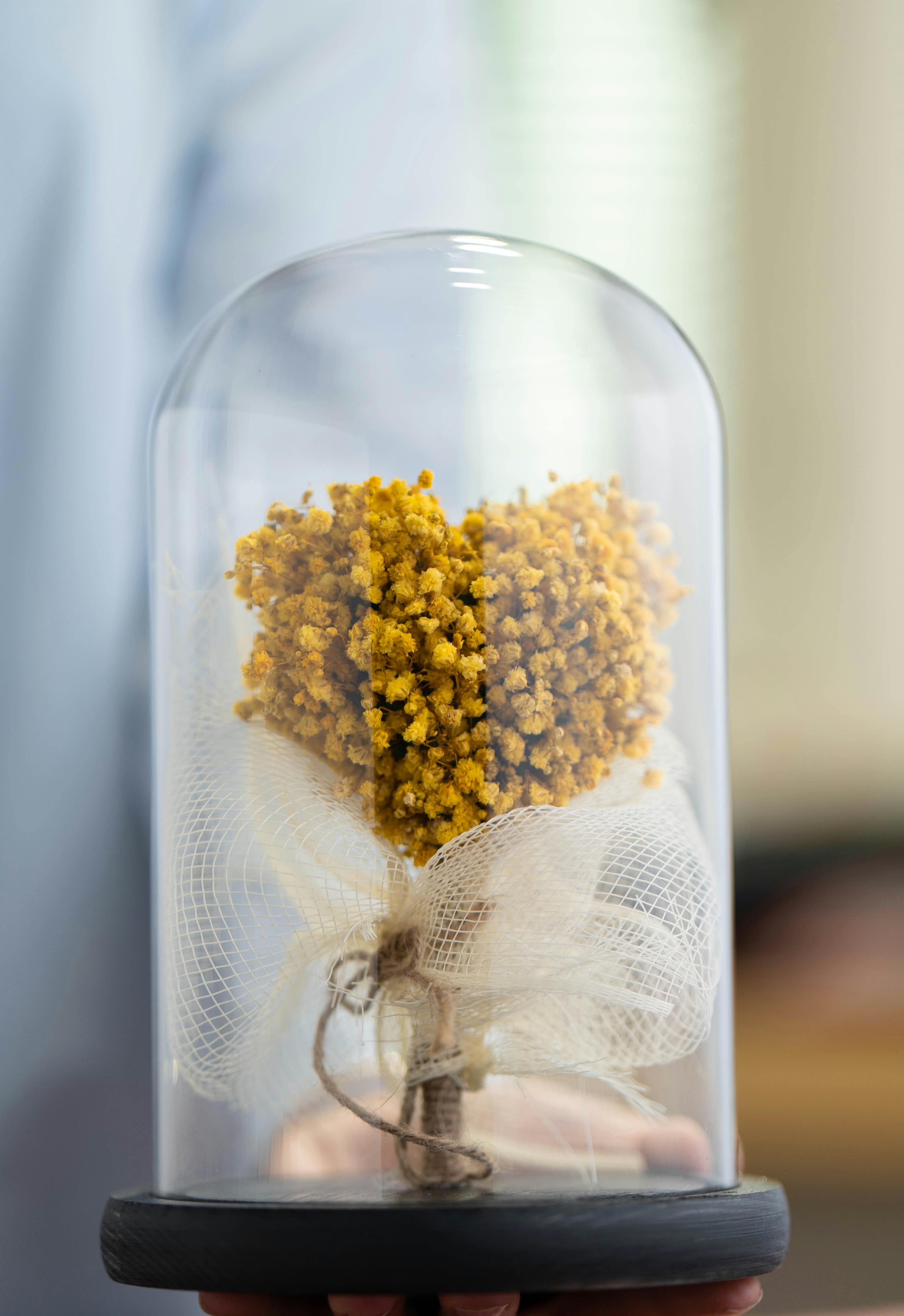 Yellow Flowers in Clear Glass Jar · Free Stock Photo