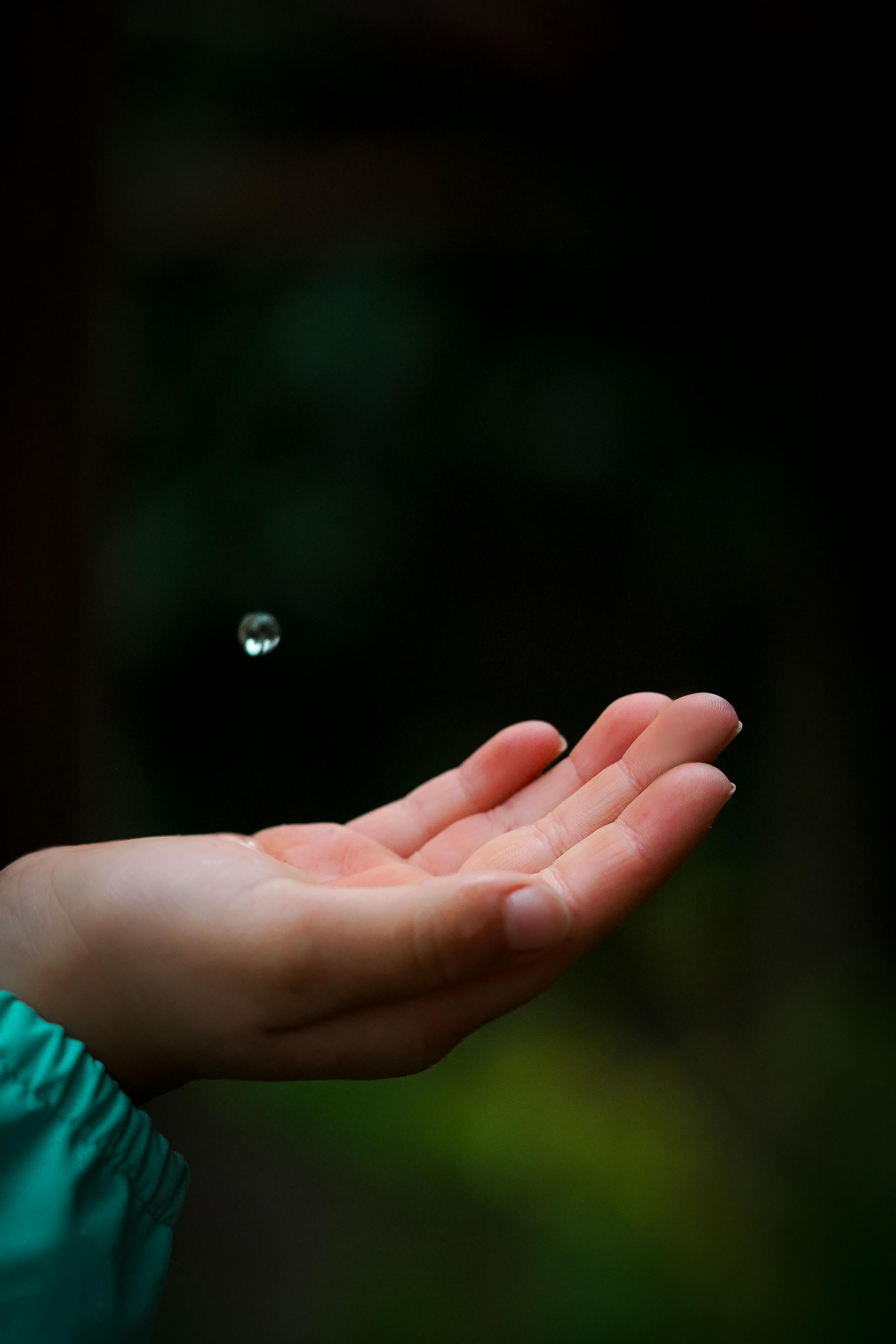 Close-up of Catching Water Droplet · Free Stock Photo