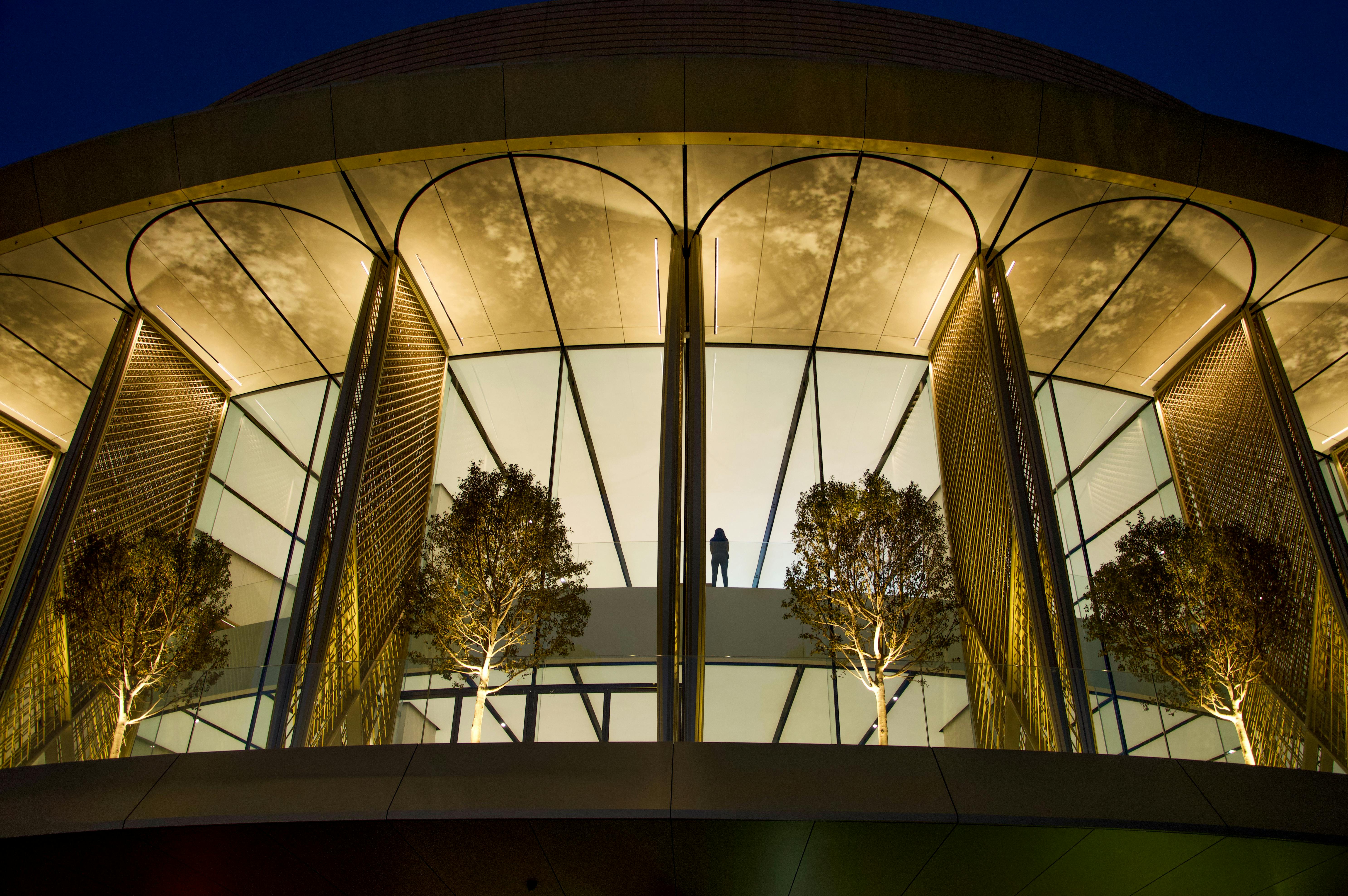 Green Trees in Front of a Glass Building · Free Stock Photo