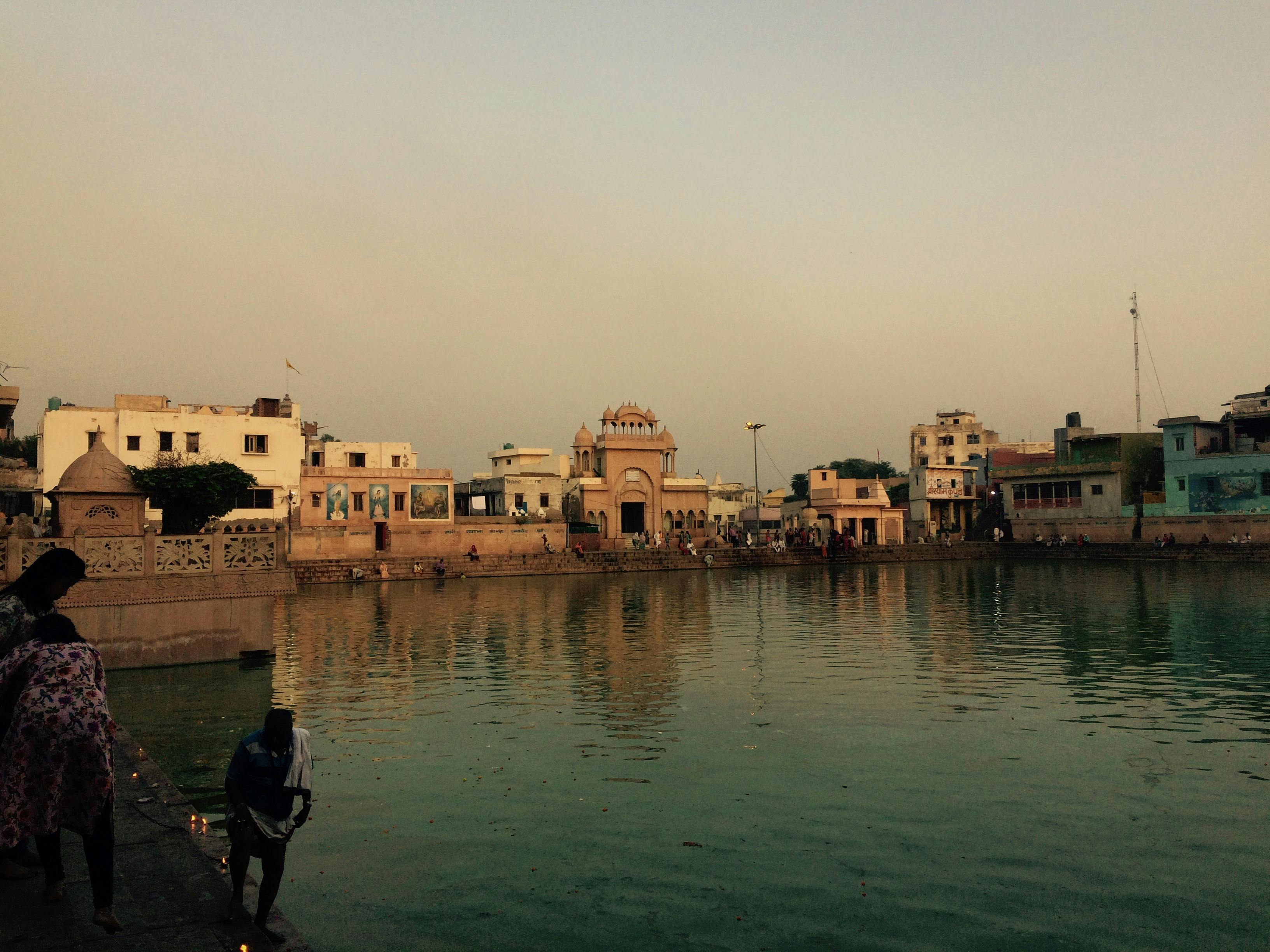 Free stock photo from Harsh · Pexels